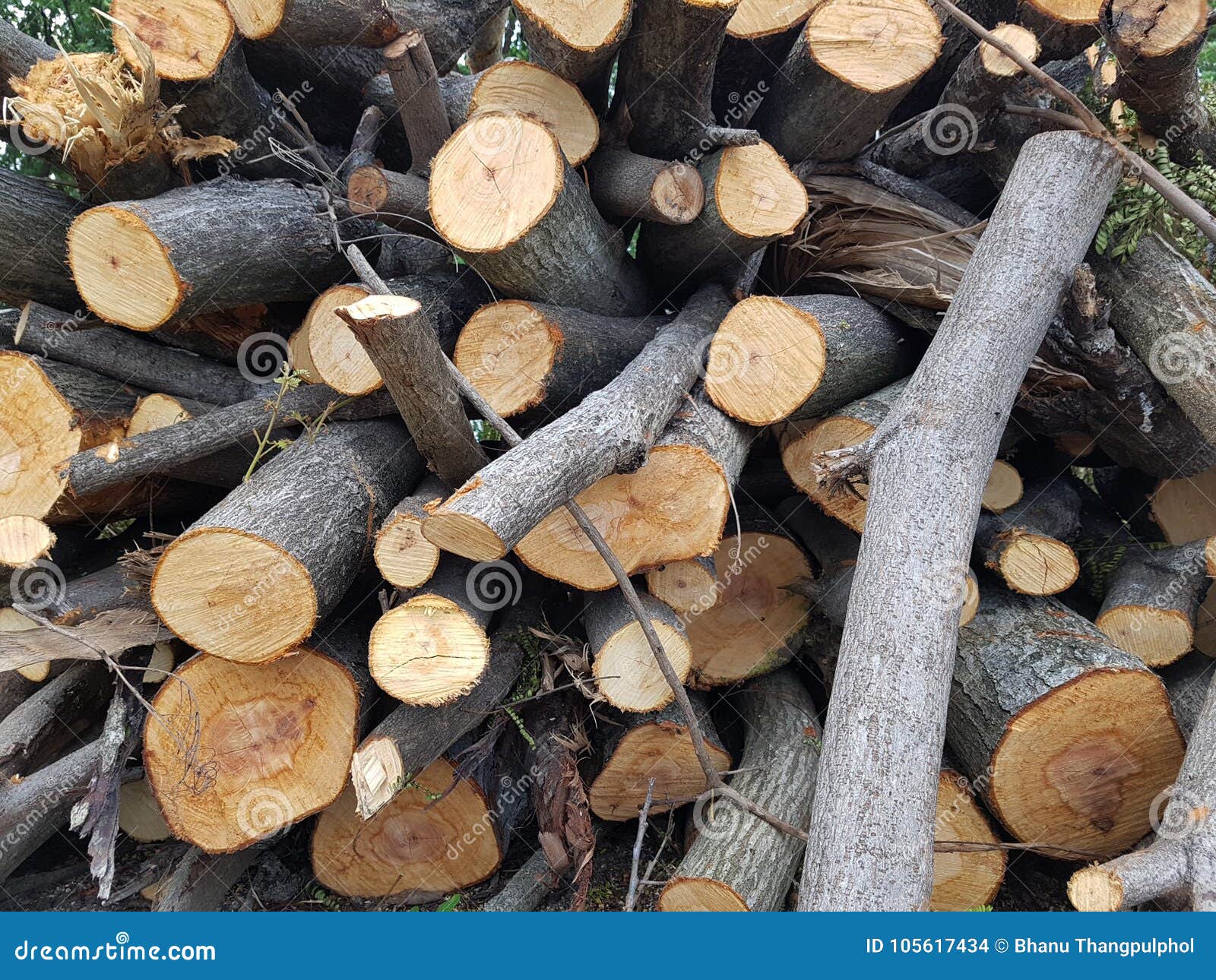 Stack of wood log branch stock photo. Image of timber - 105617434
