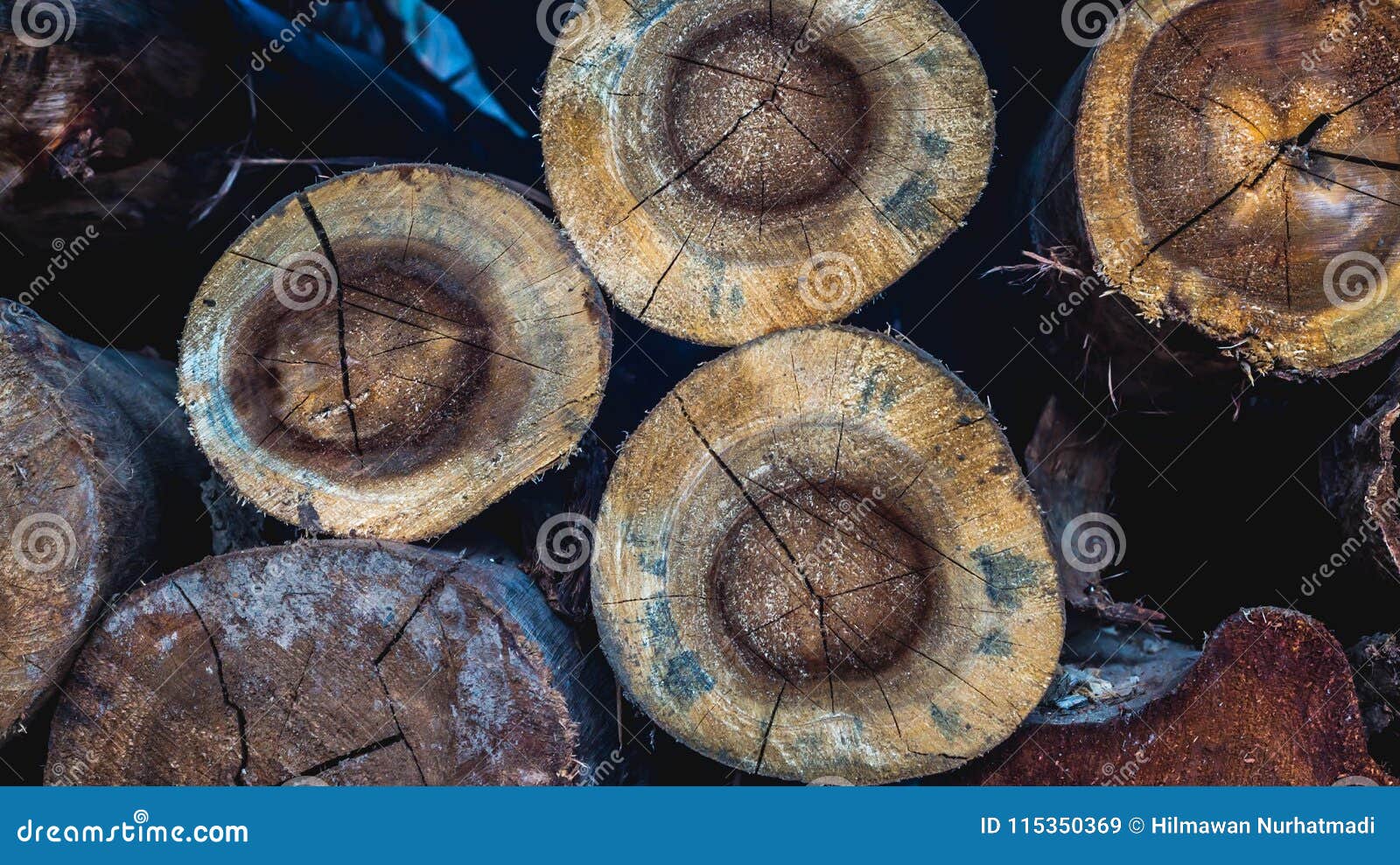 Stack of timber stock image. Image of lumber, gnarly - 115350369