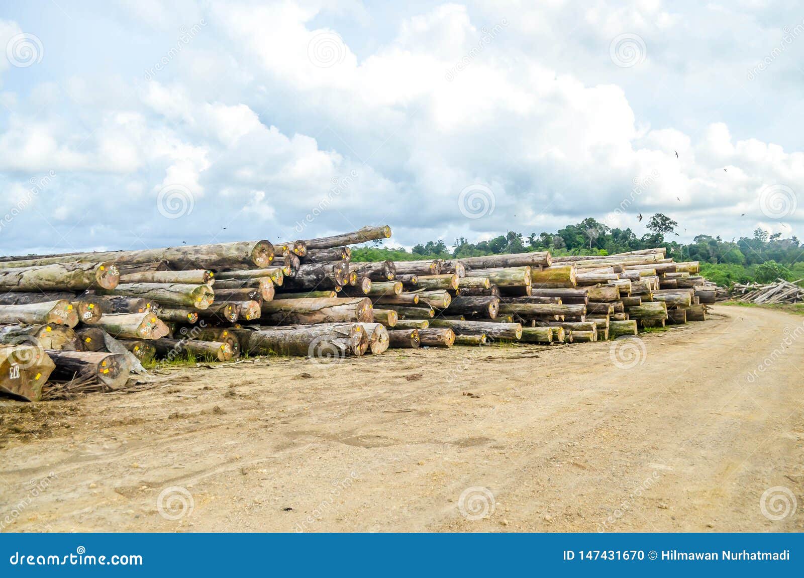 Stack of Wood in the Log Yard Stock Photo - Image of resources ...