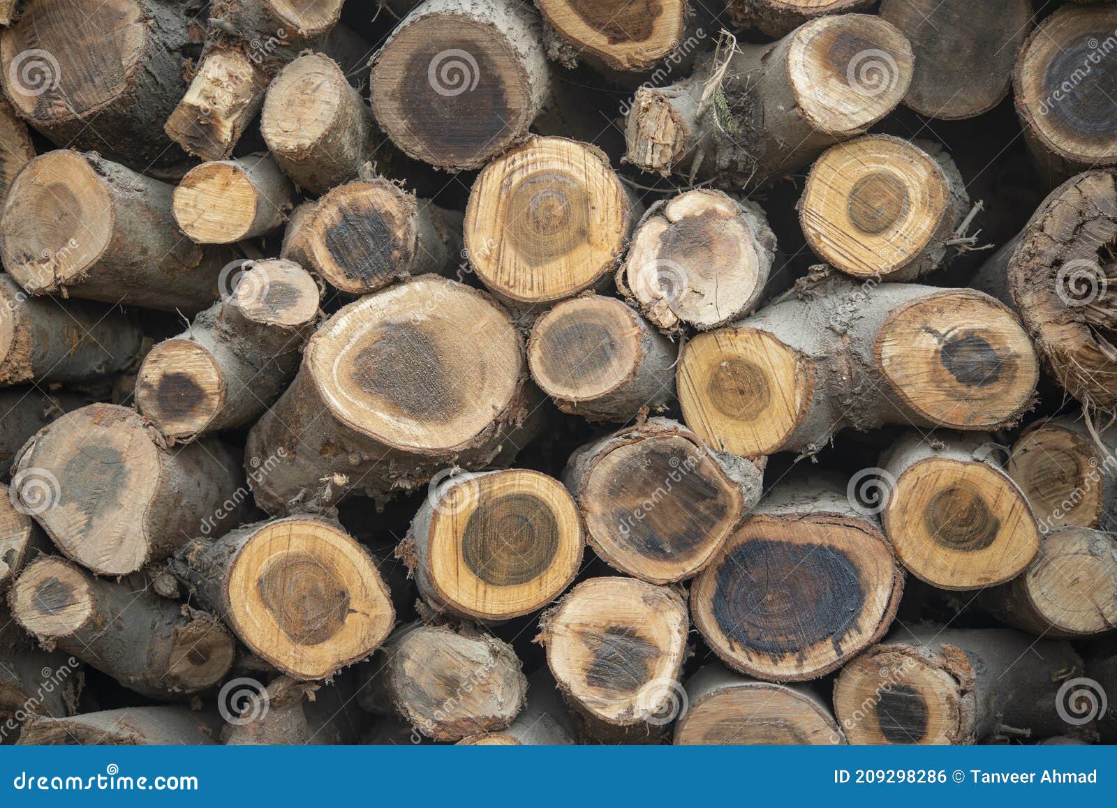 Stack of Wood Logs Making Natural Background Wallpaper Stock Photo ...