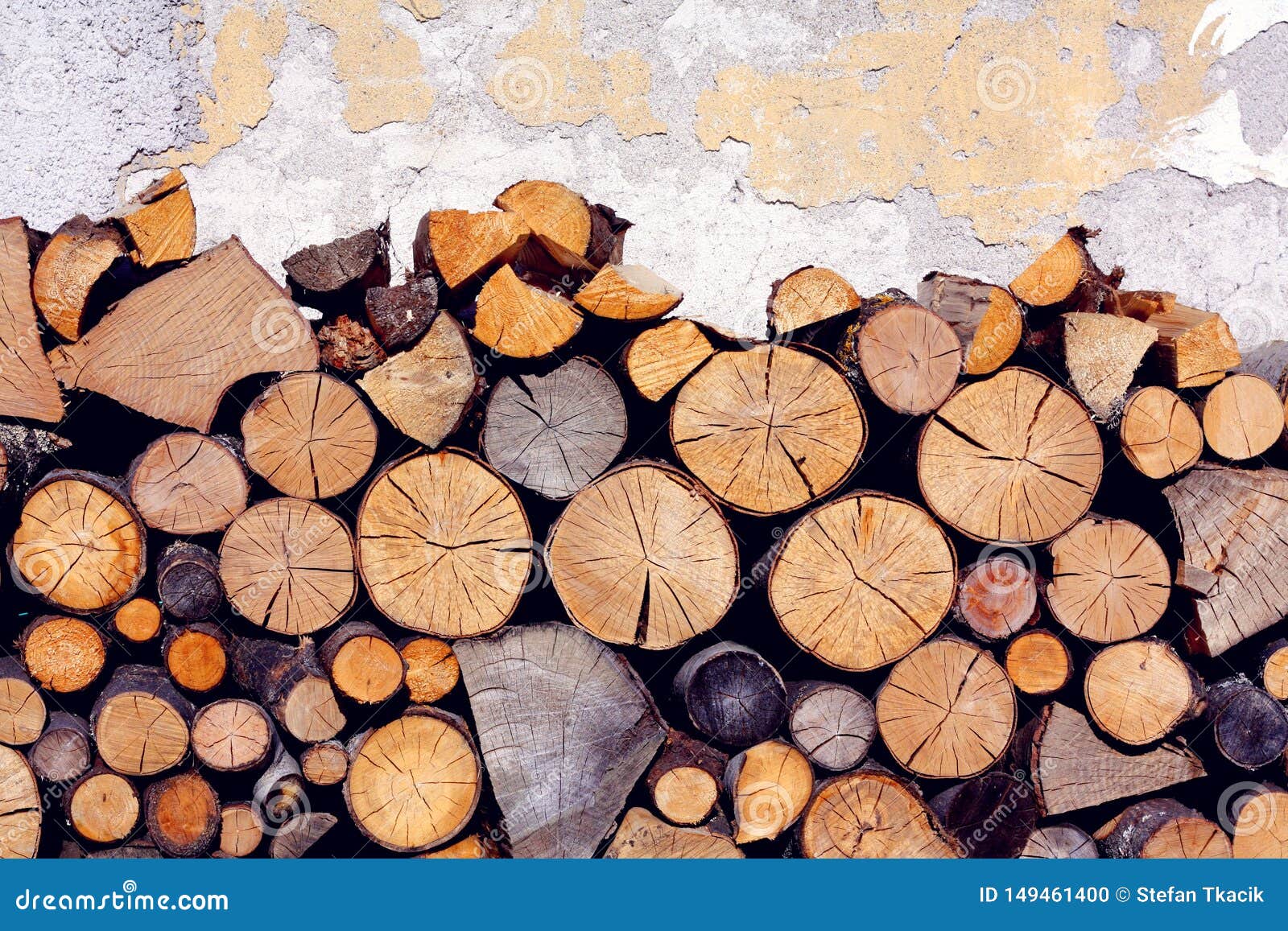 Stack of wood logs stock photo. Image of logs, chop - 149461400