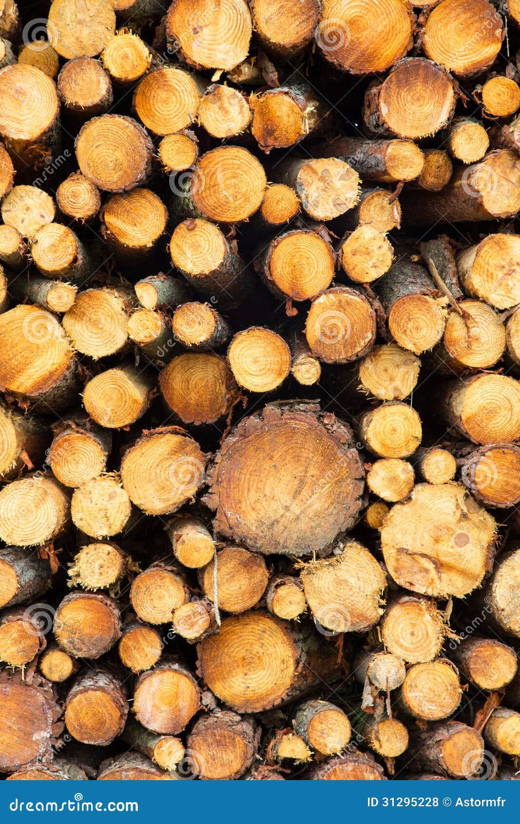 Stack of wood stock photo. Image of grain, firewood, pattern - 31295228