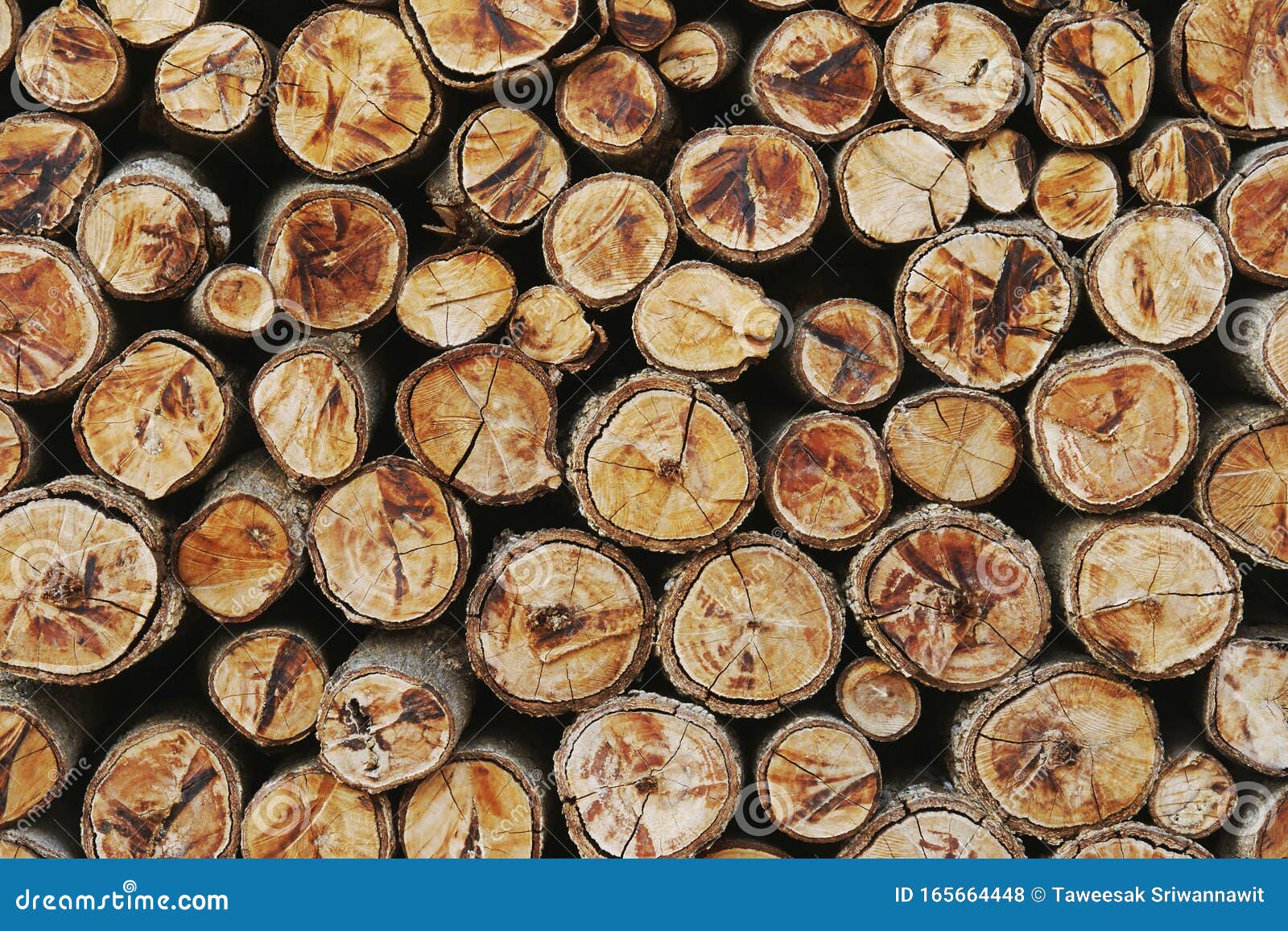Stack of Wood Stumps As Background Stock Photo - Image of lumber, tree ...