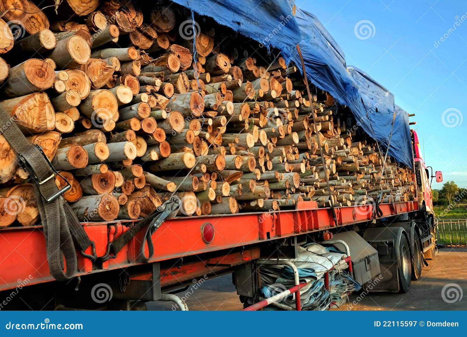 Stack of Wood on a Trailer. Stock Image - Image of eucalyptus, forest ...
