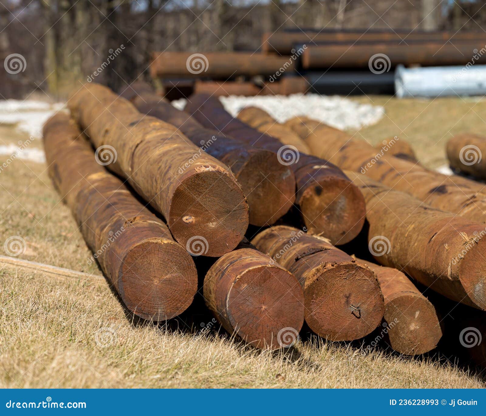 Stack of Wooden Electrical Utility Poles Ready for Installation Stock ...