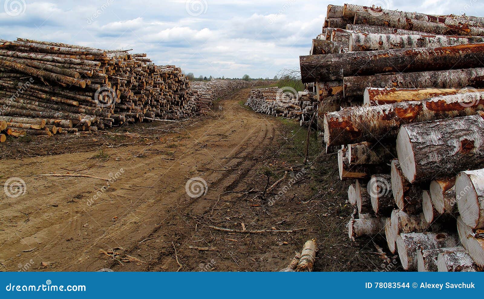 Stack of Wooden Logs Along a Rural Road Stock Photo - Image of firewood ...