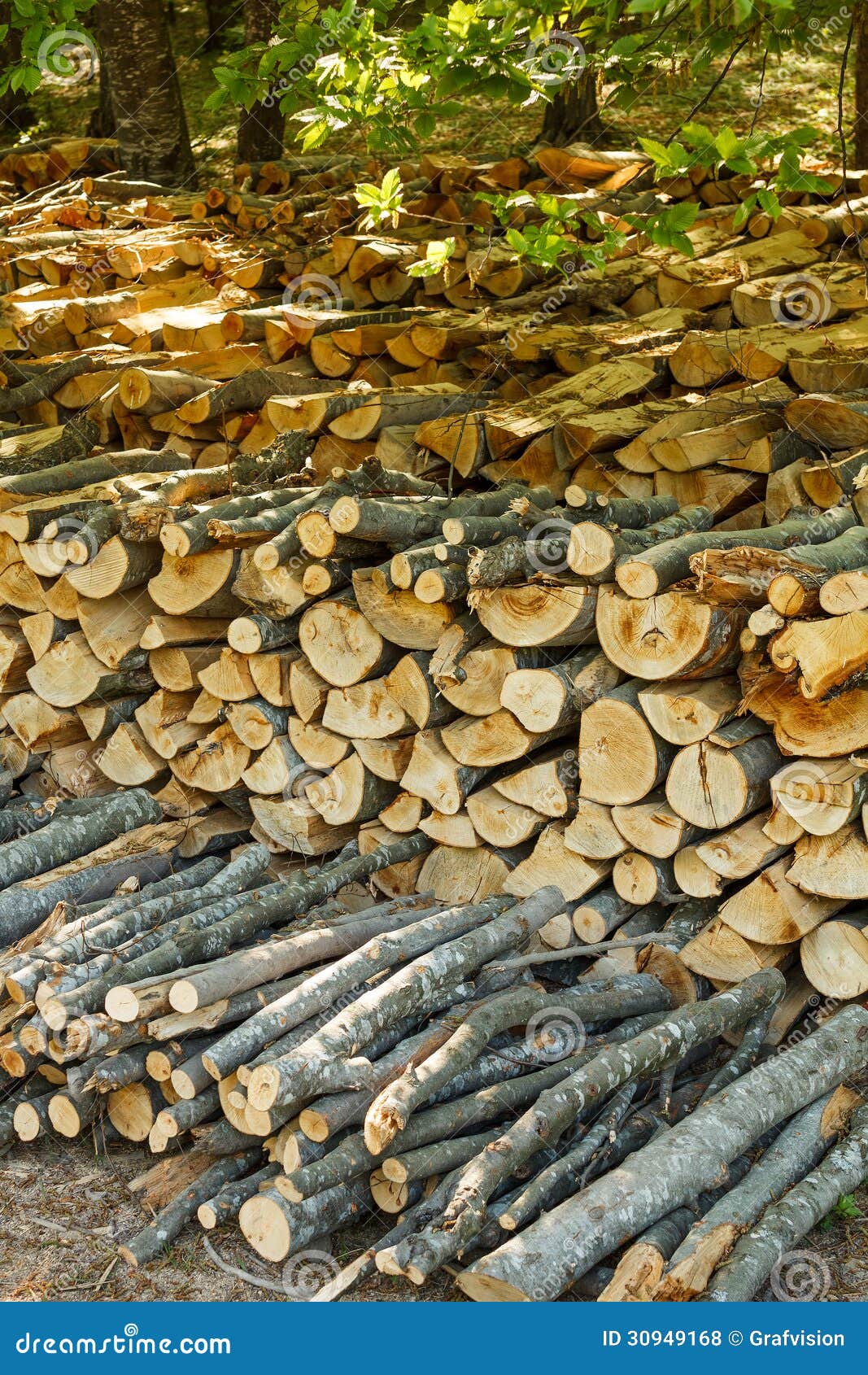 Stack of wooden logs stock photo. Image of felling, power - 30949168