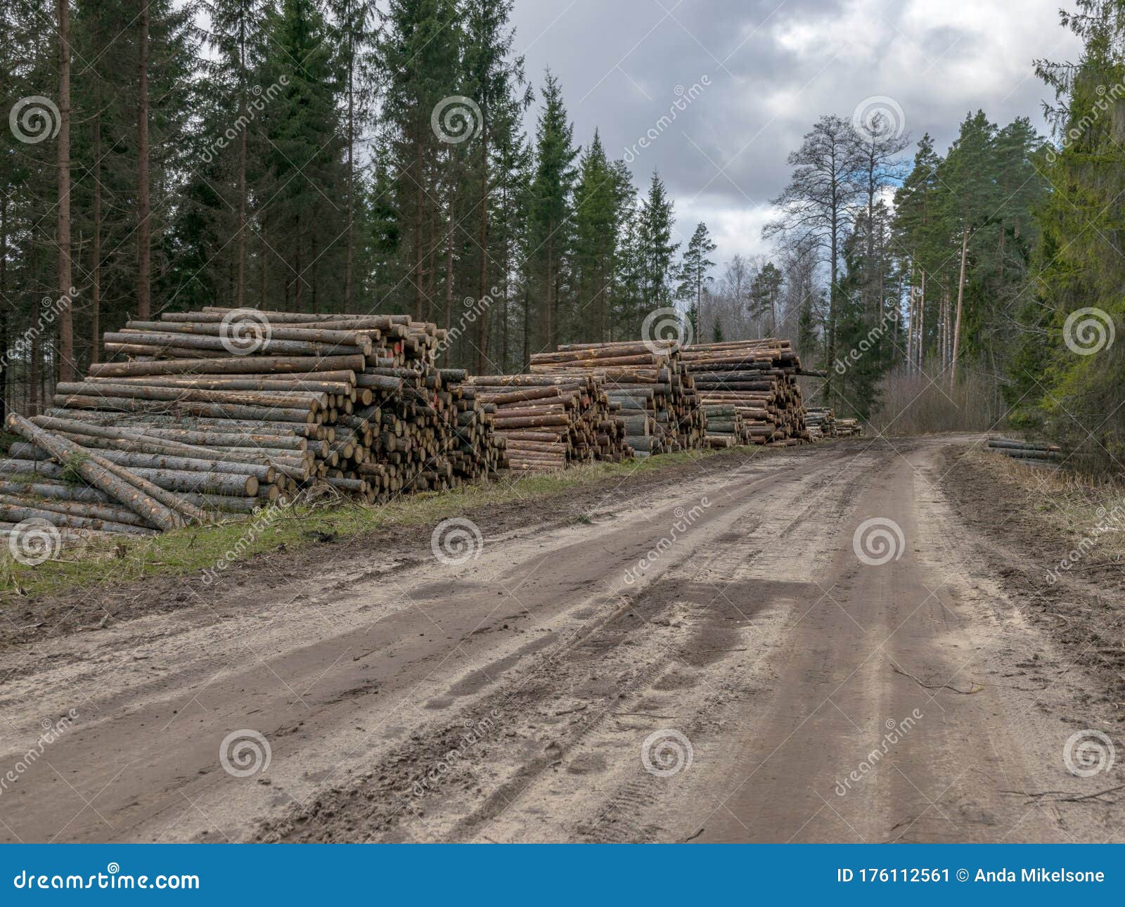 A Stack of Wooden Logs Piled on the Side of the Road Stock Image ...