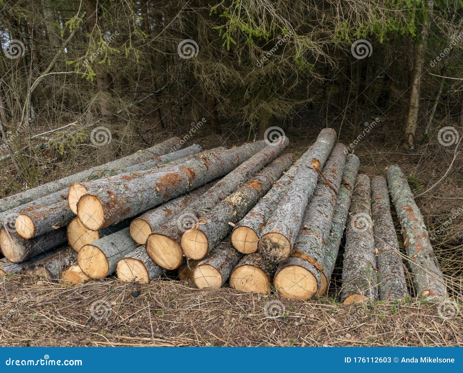 A Stack of Wooden Logs Piled on the Side of the Road Stock Image ...