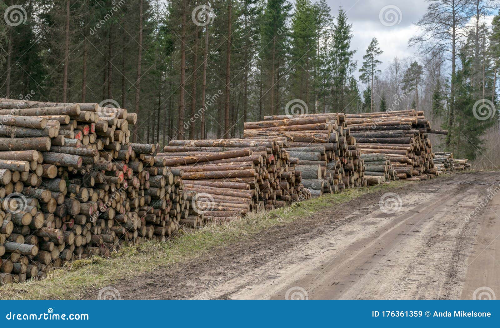 A Stack of Wooden Logs Piled on the Side of the Road Stock Image ...