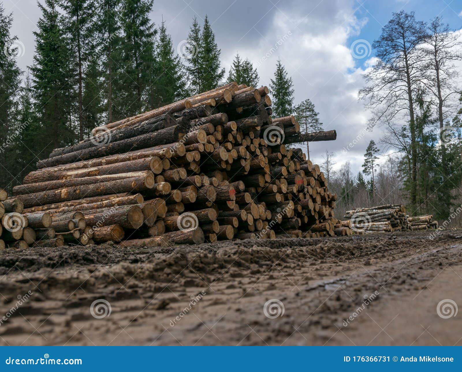 A Stack of Wooden Logs Piled on the Side of the Road Stock Image ...