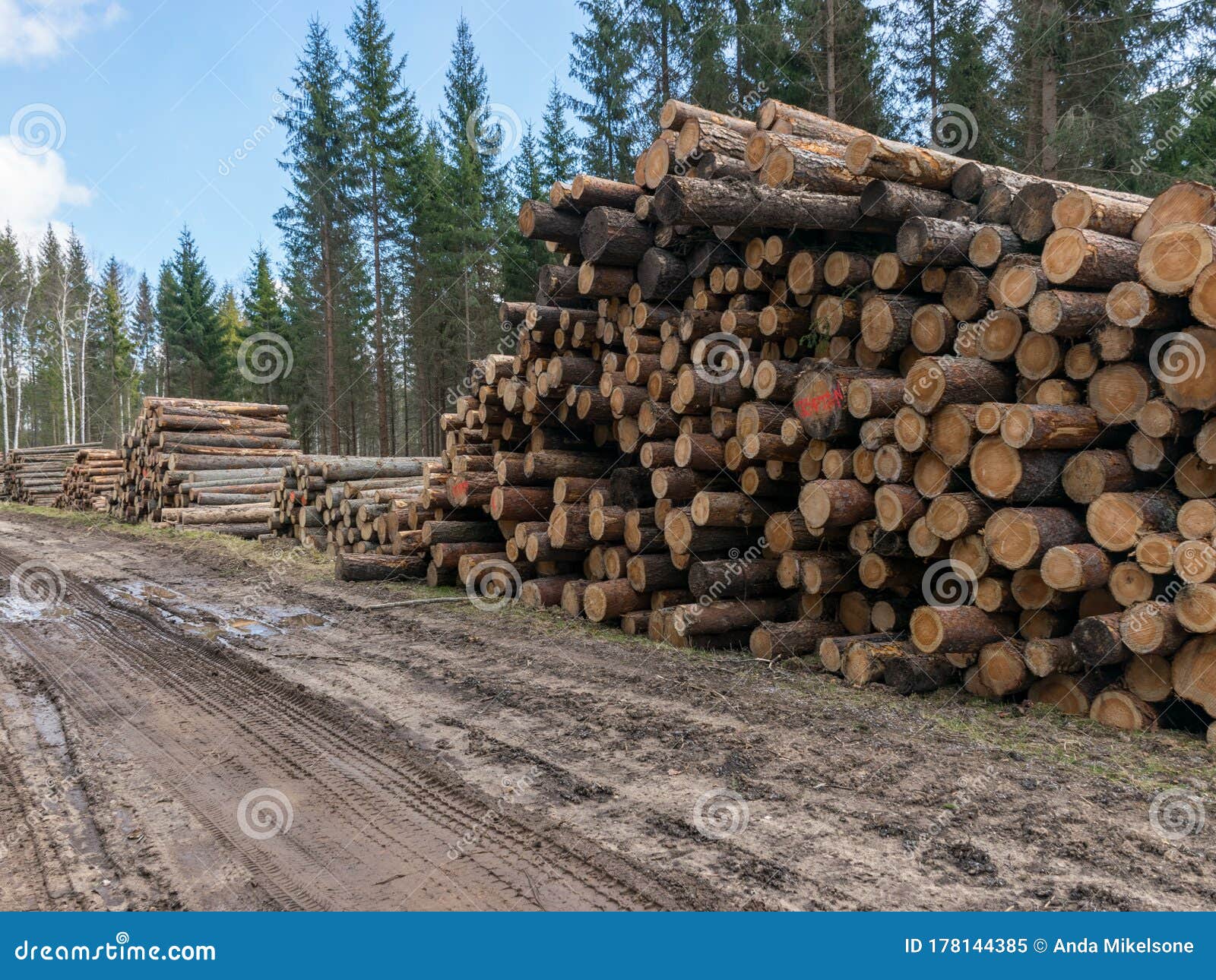A Stack of Wooden Logs Piled on the Side of the Road Stock Image ...