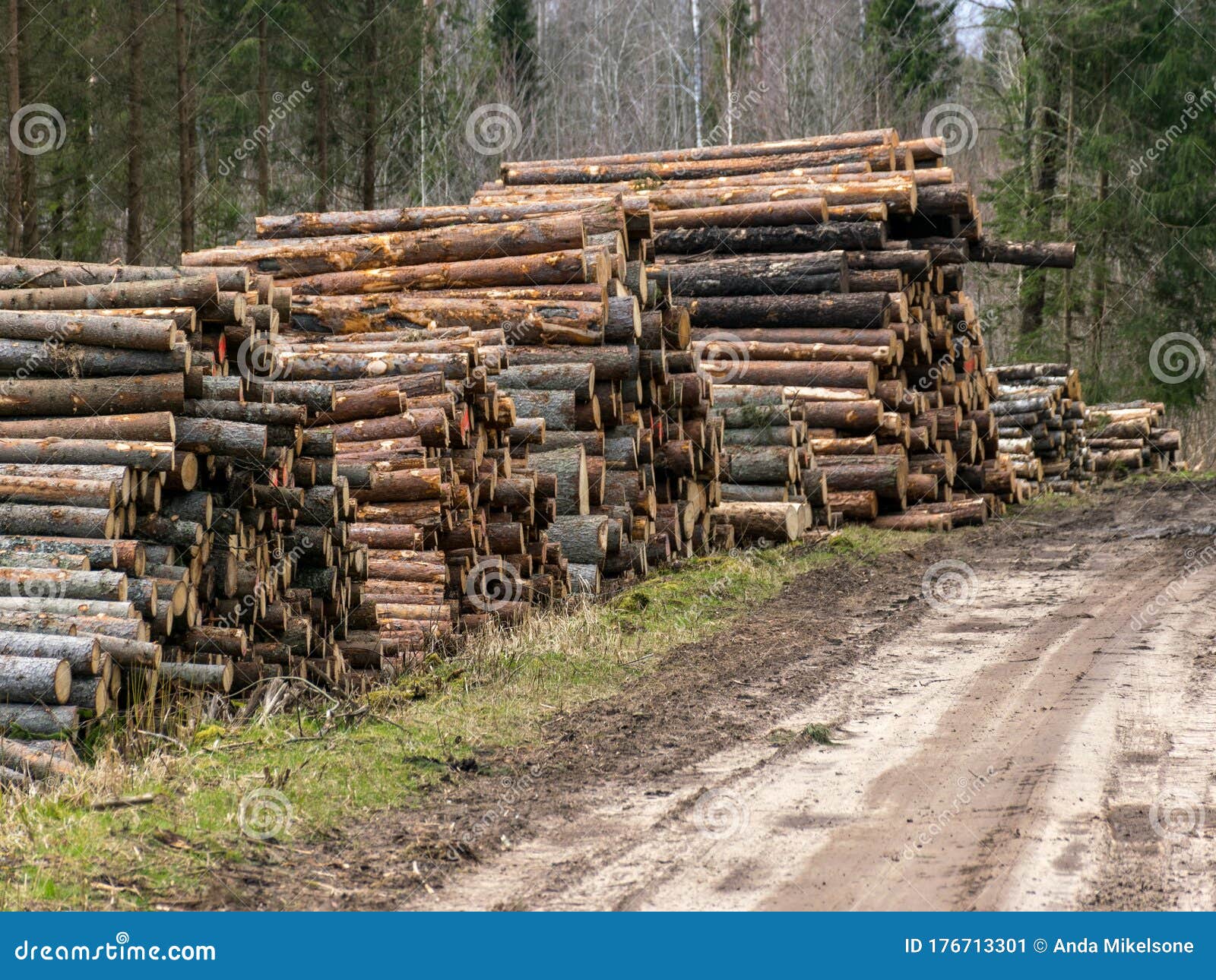 A Stack of Wooden Logs Piled on the Side of the Road Stock Image ...