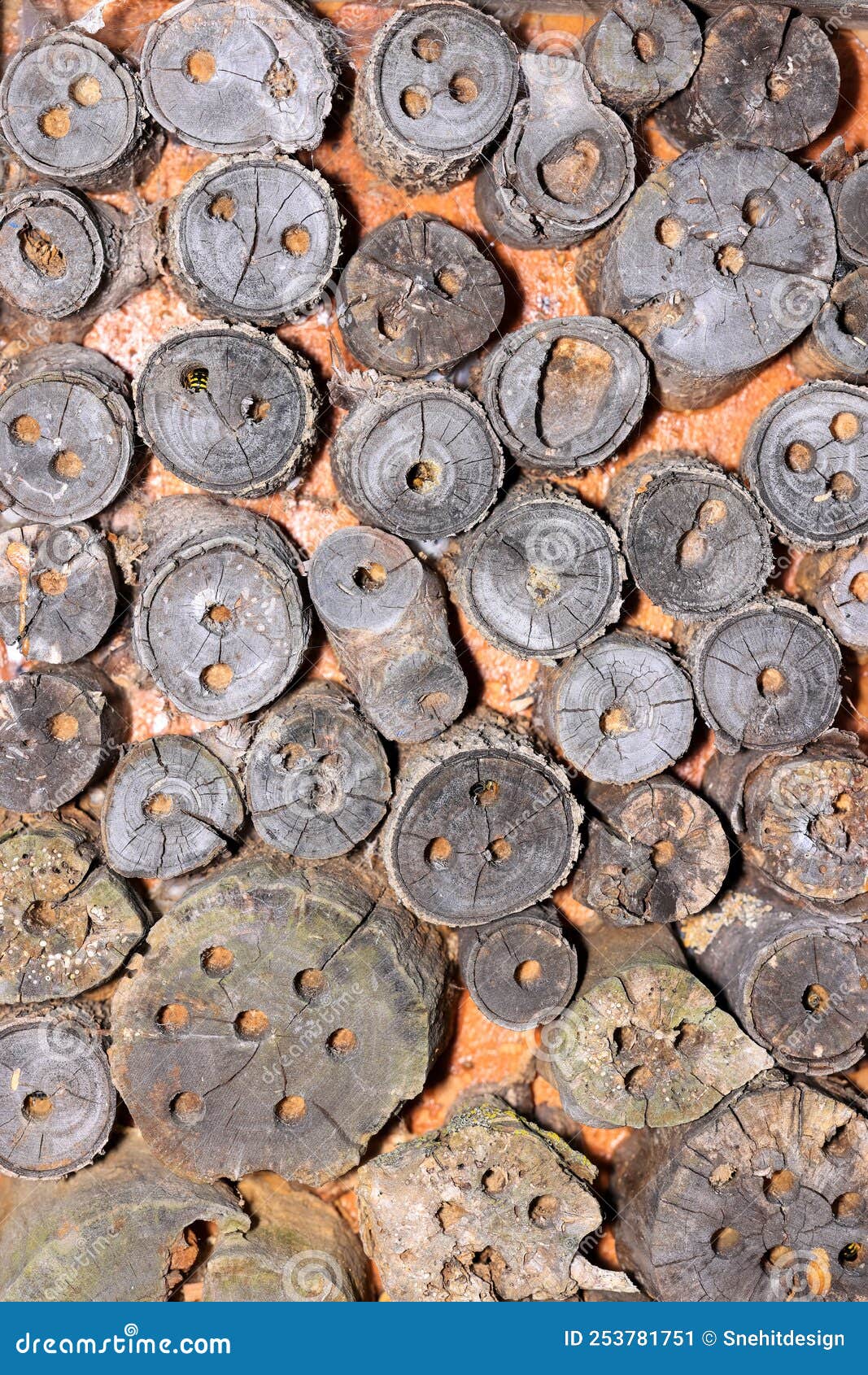 Stack of Wooden Sticks for Bee Hives Stock Image - Image of detail ...