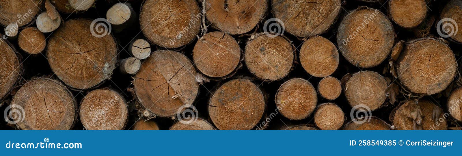Stack of Wooden Stumps in Cross Section Texture Background - Wood Woods ...