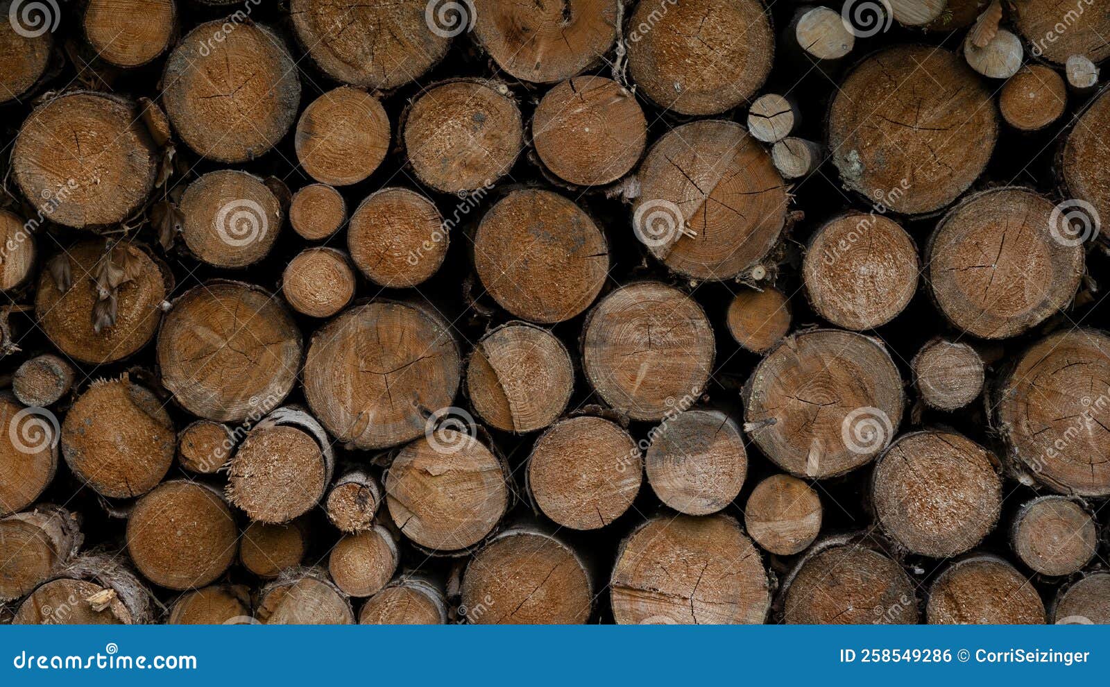 Stack of Wooden Stumps in Cross Section Texture Background - Wood Woods ...