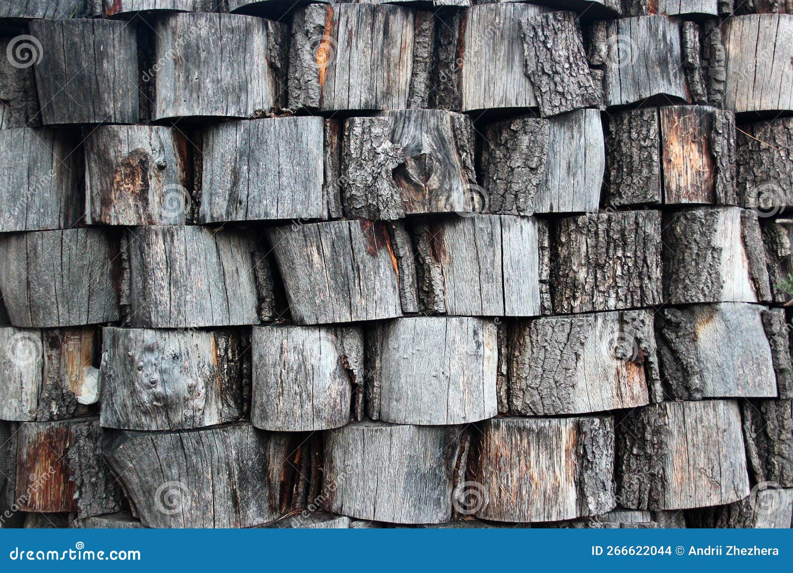 Stack of Wooden Stumps, Wall of Pine Trunks As a Background Stock Photo ...