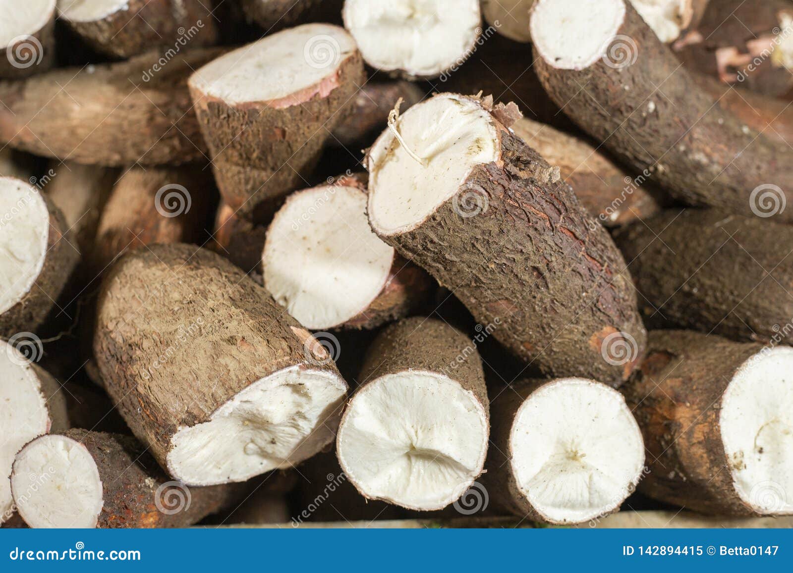 Stack of Yucca in the Market Square Stock Image - Image of supermarket ...