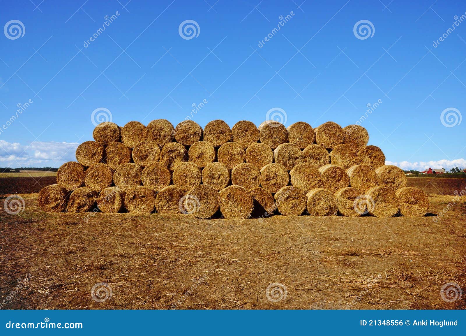 Stacked bales of hay stock photo. Image of gold, farm - 21348556