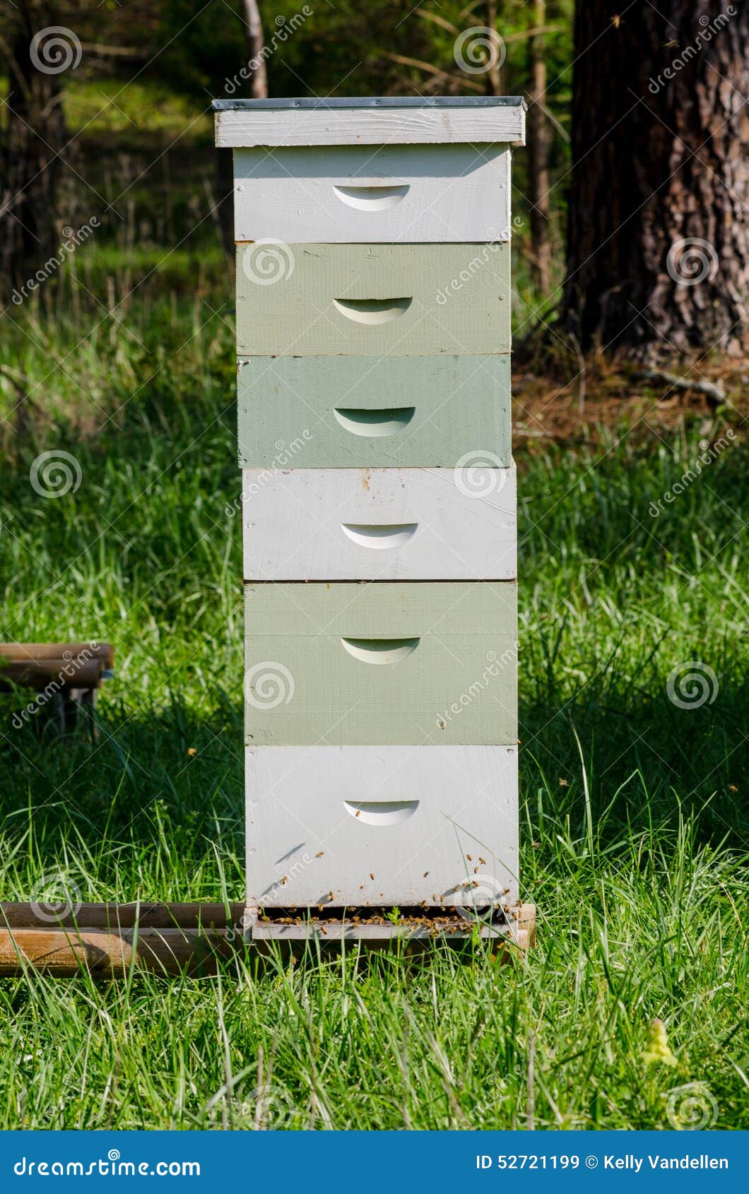 Stacked Beekeeping Boxes stock image. Image of handles - 52721199