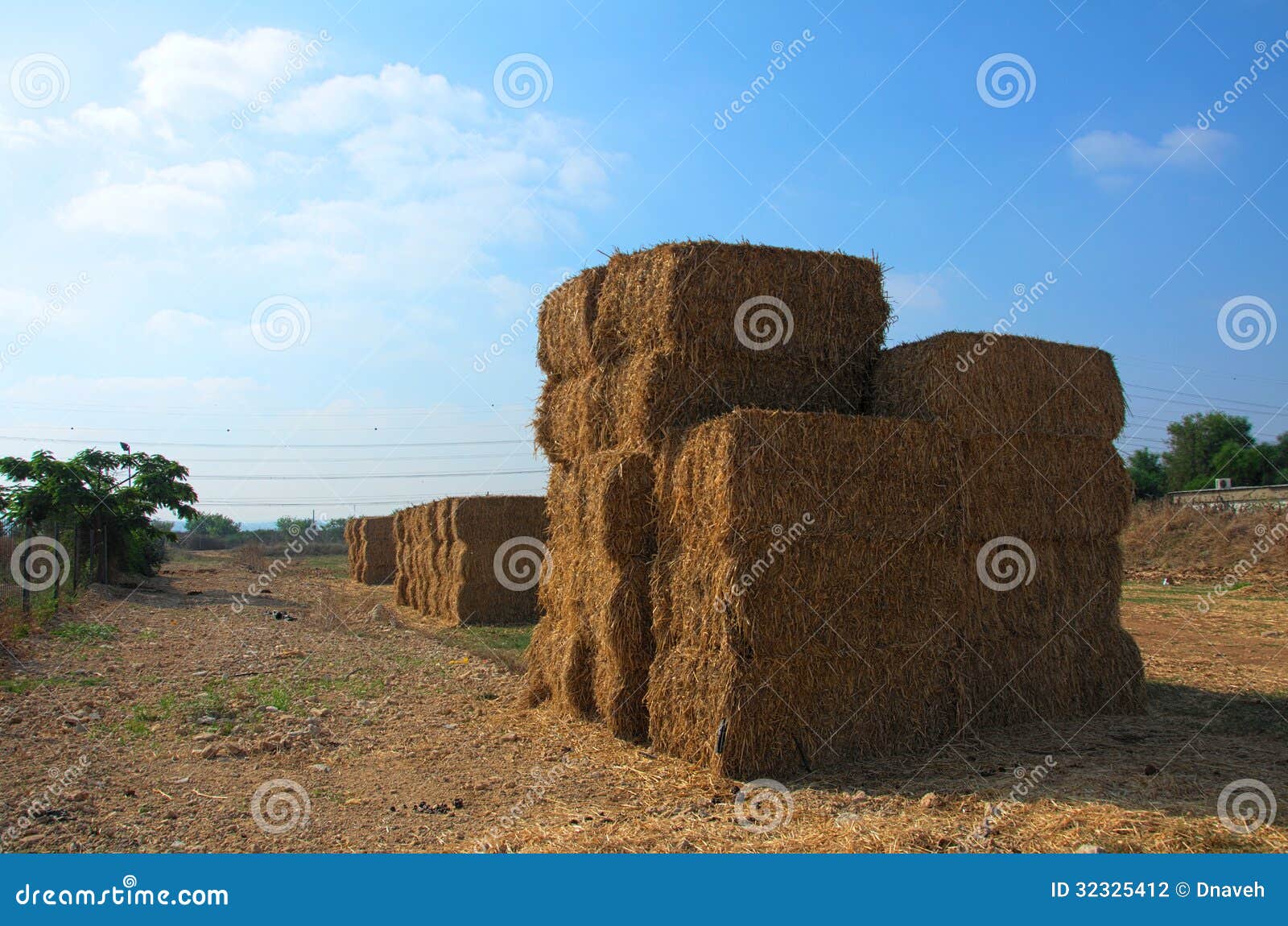 Stacked blocks of dry hay stock photo. Image of feed - 32325412