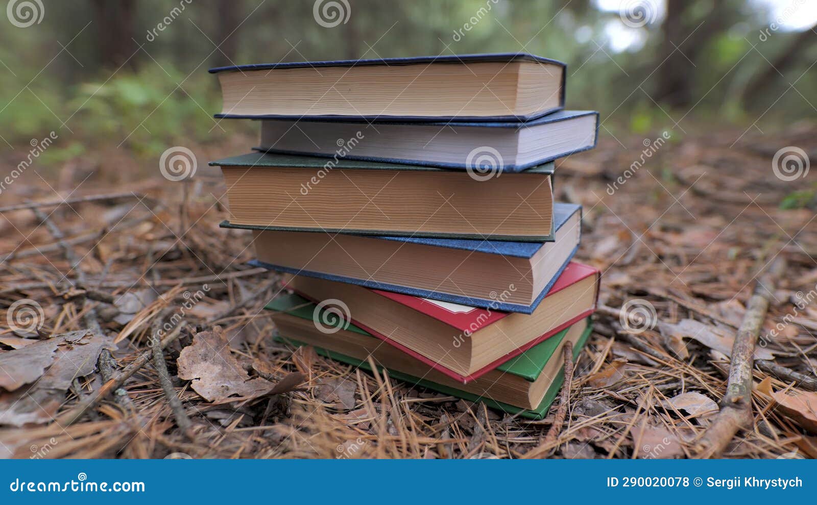 Stacked Books in the Forest Stock Footage - Video of background ...