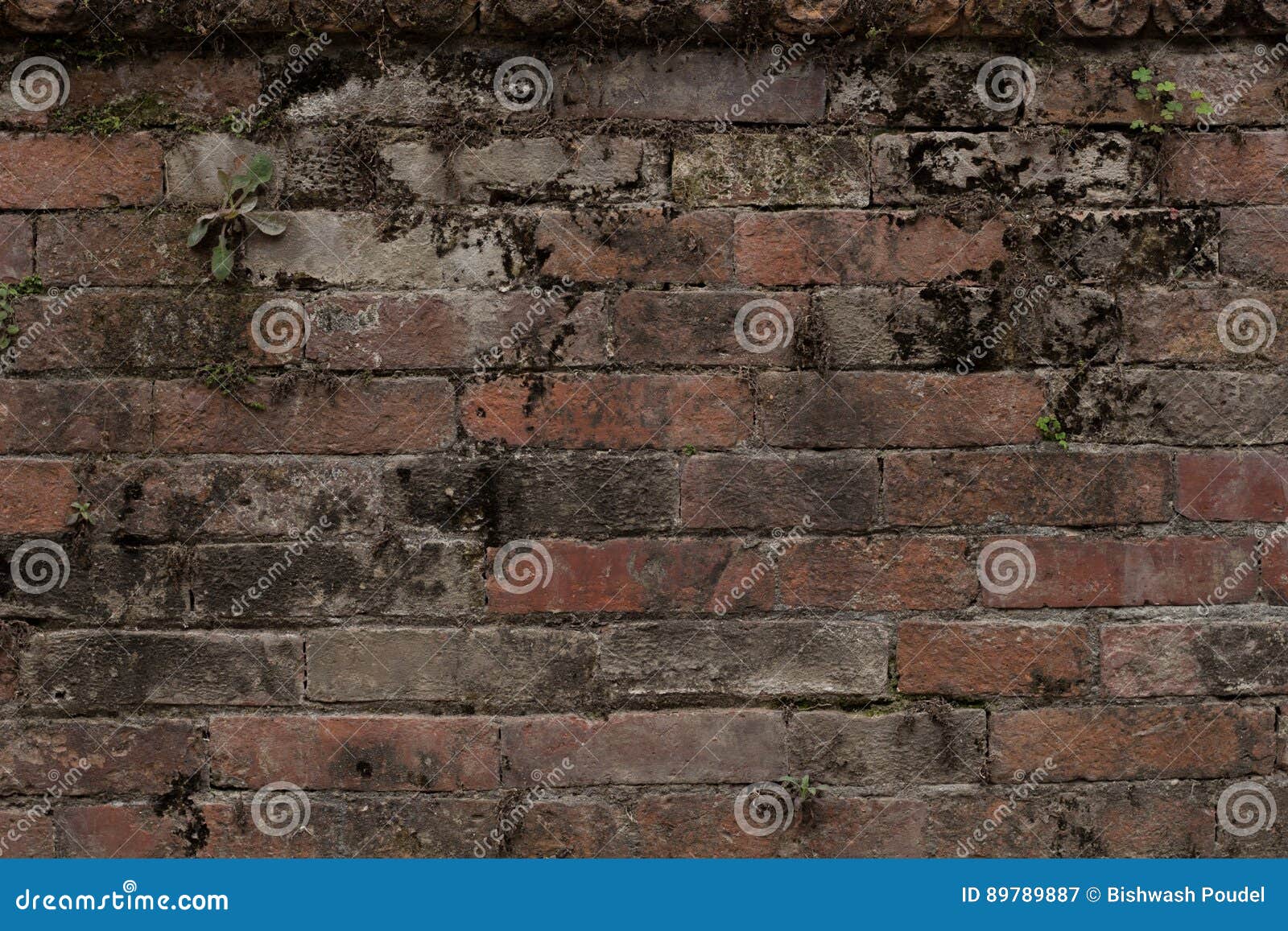Stacked Brick Texture Stock Image | CartoonDealer.com #89789743