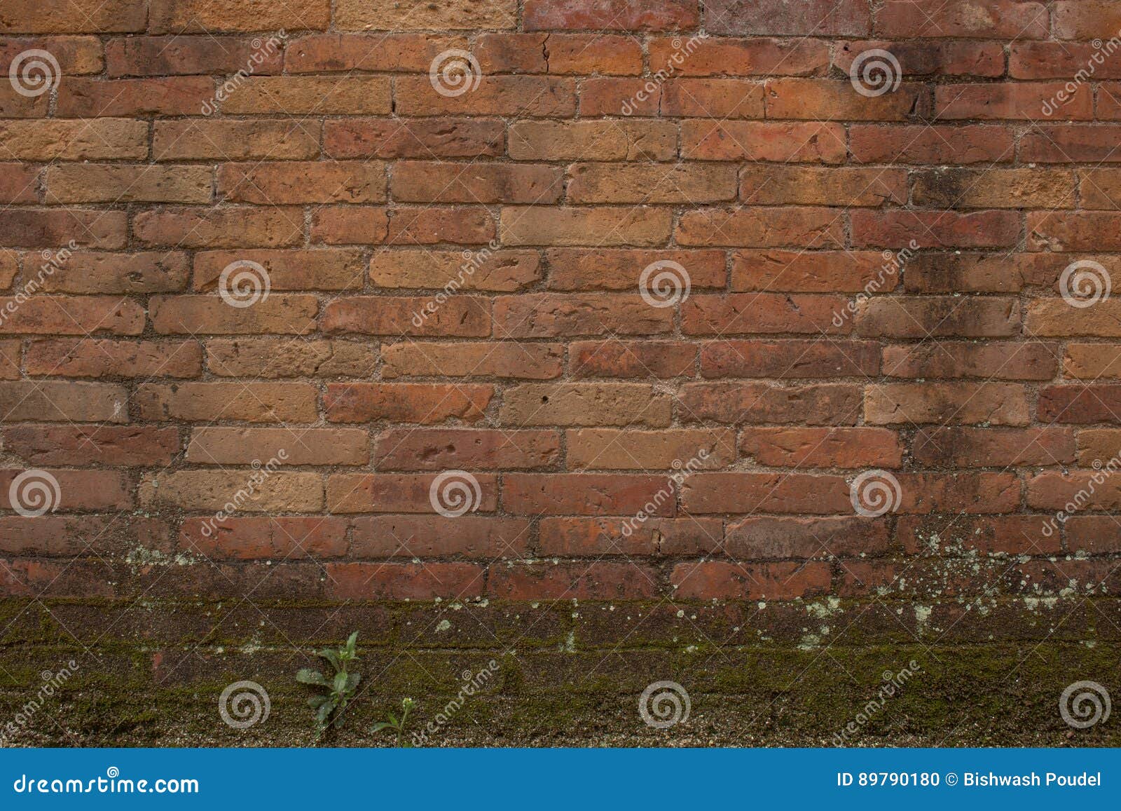 Stacked Brick Texture stock photo. Image of forest, hindu - 89790180