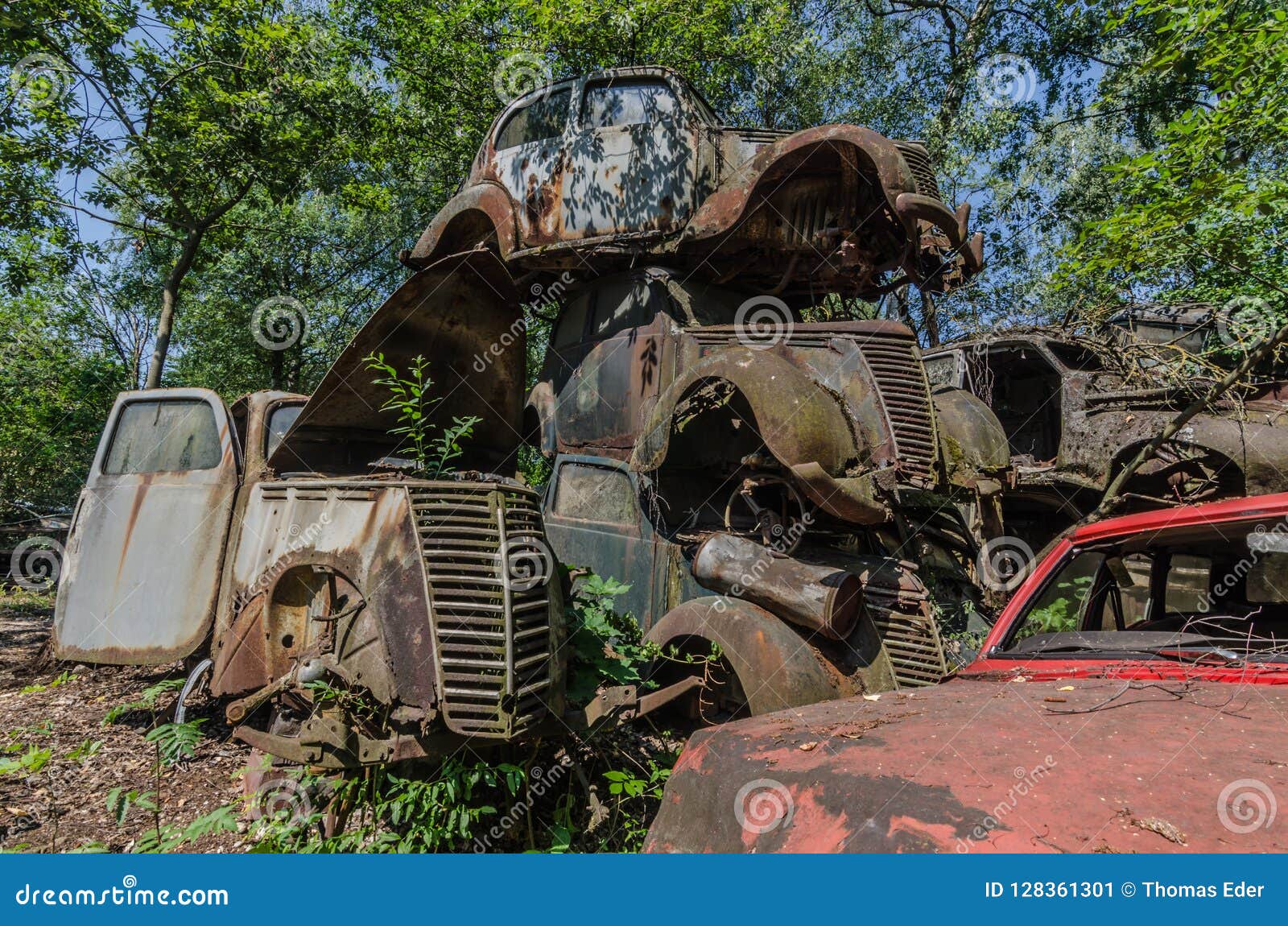 Stacked cars in a forest stock image. Image of oblivion - 128361301