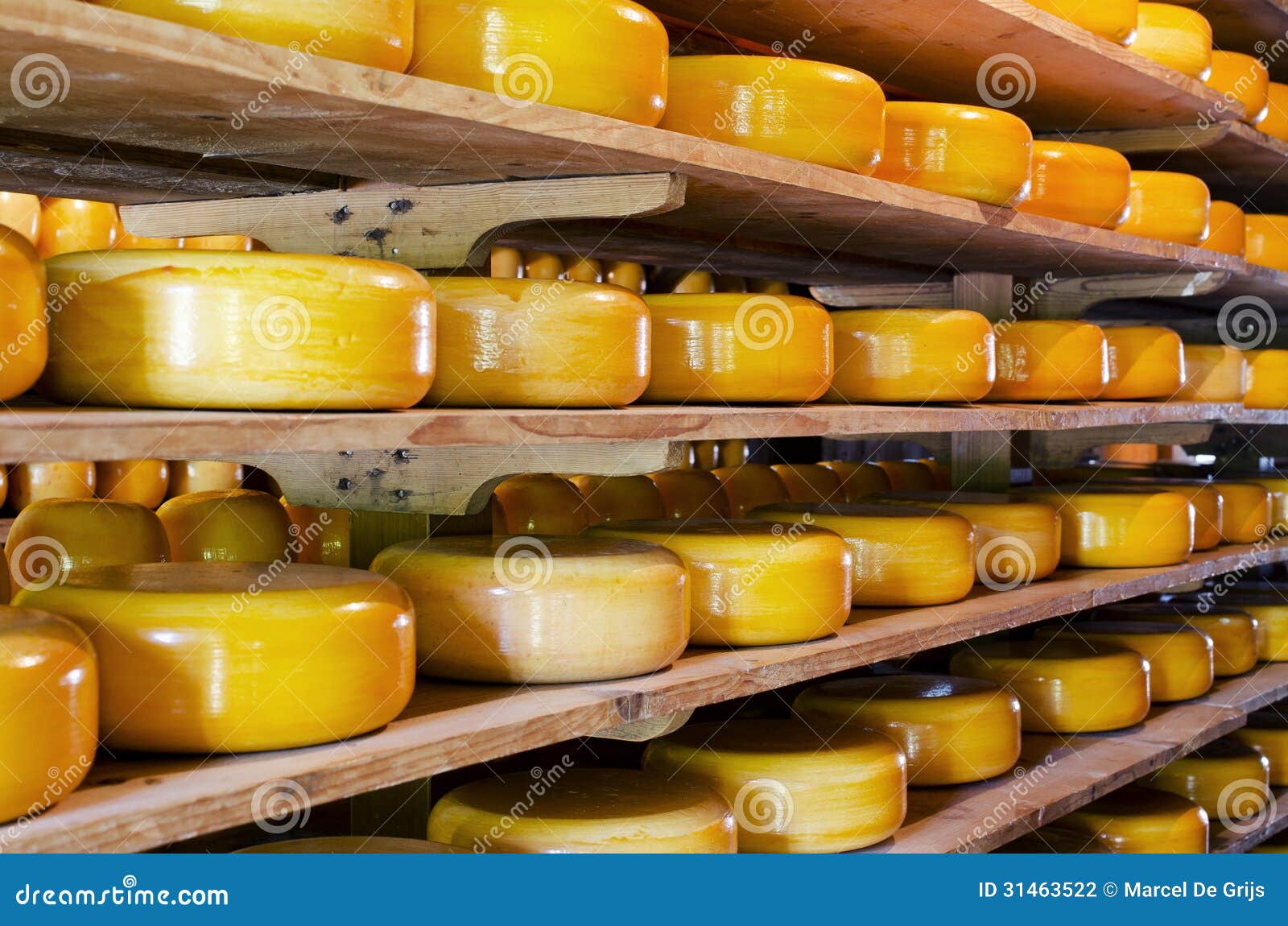 Stacked cheese stock photo. Image of holland, food, industry - 31463522