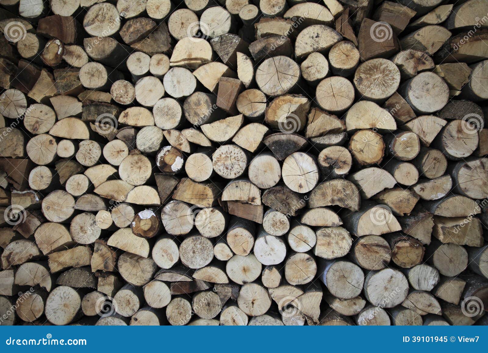 Chopped Firewood Stacked Between Two Trees Royalty-Free Stock Photo ...