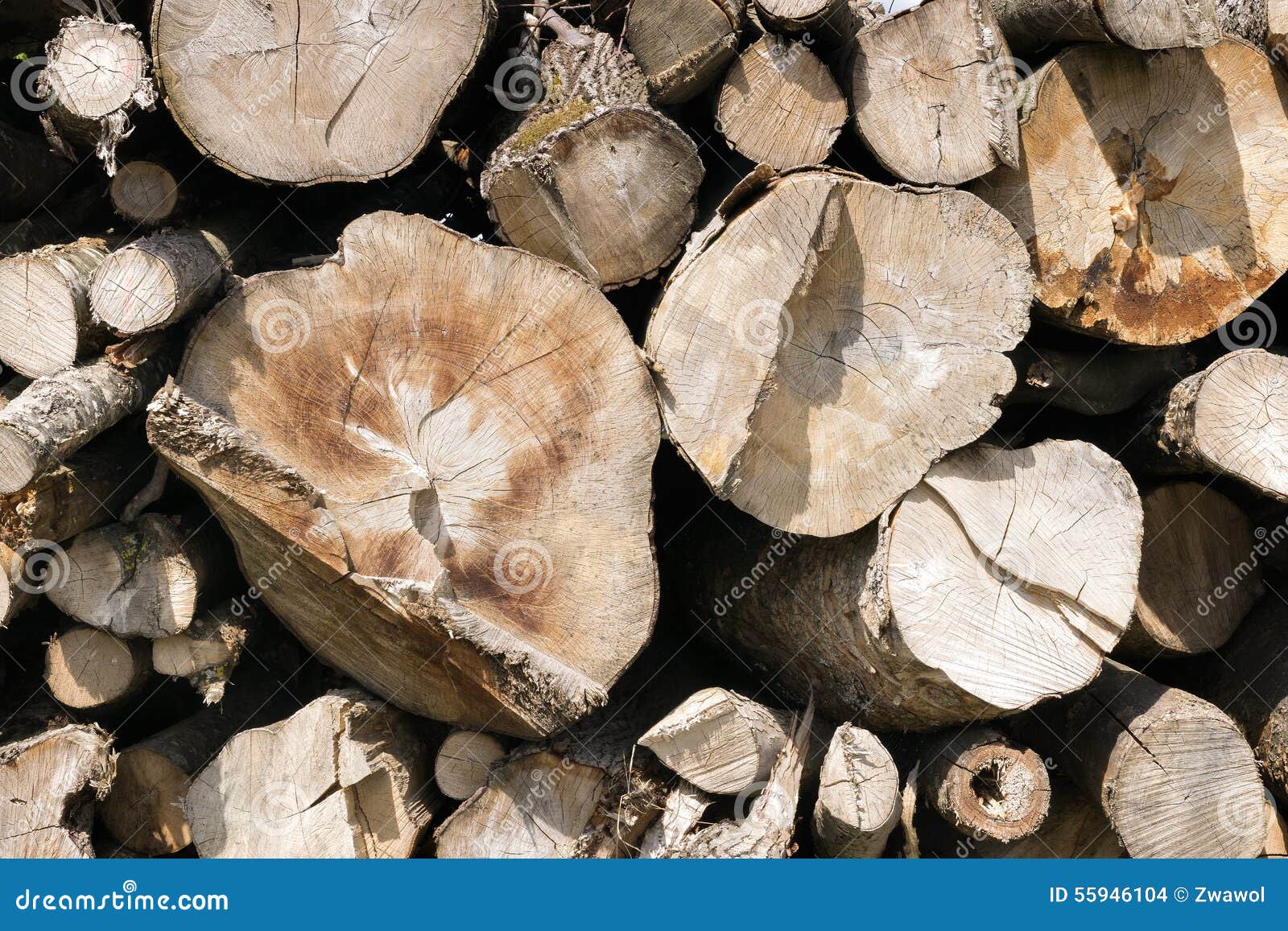 Stacked and Chopped Tree Trunks Stock Photo - Image of lumber, frame ...