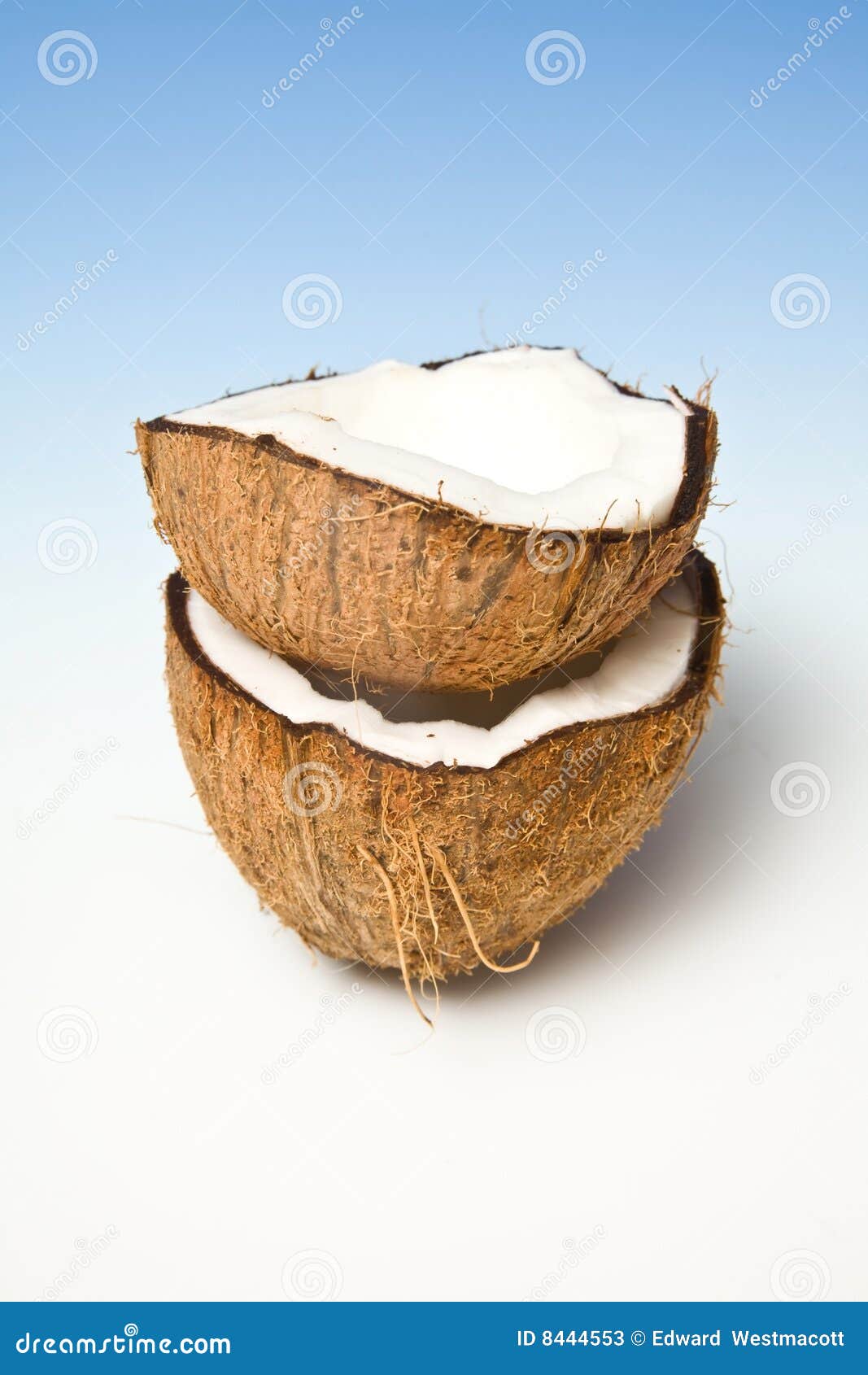 Stacked coconut halves stock image. Image of studio, shell - 8444553