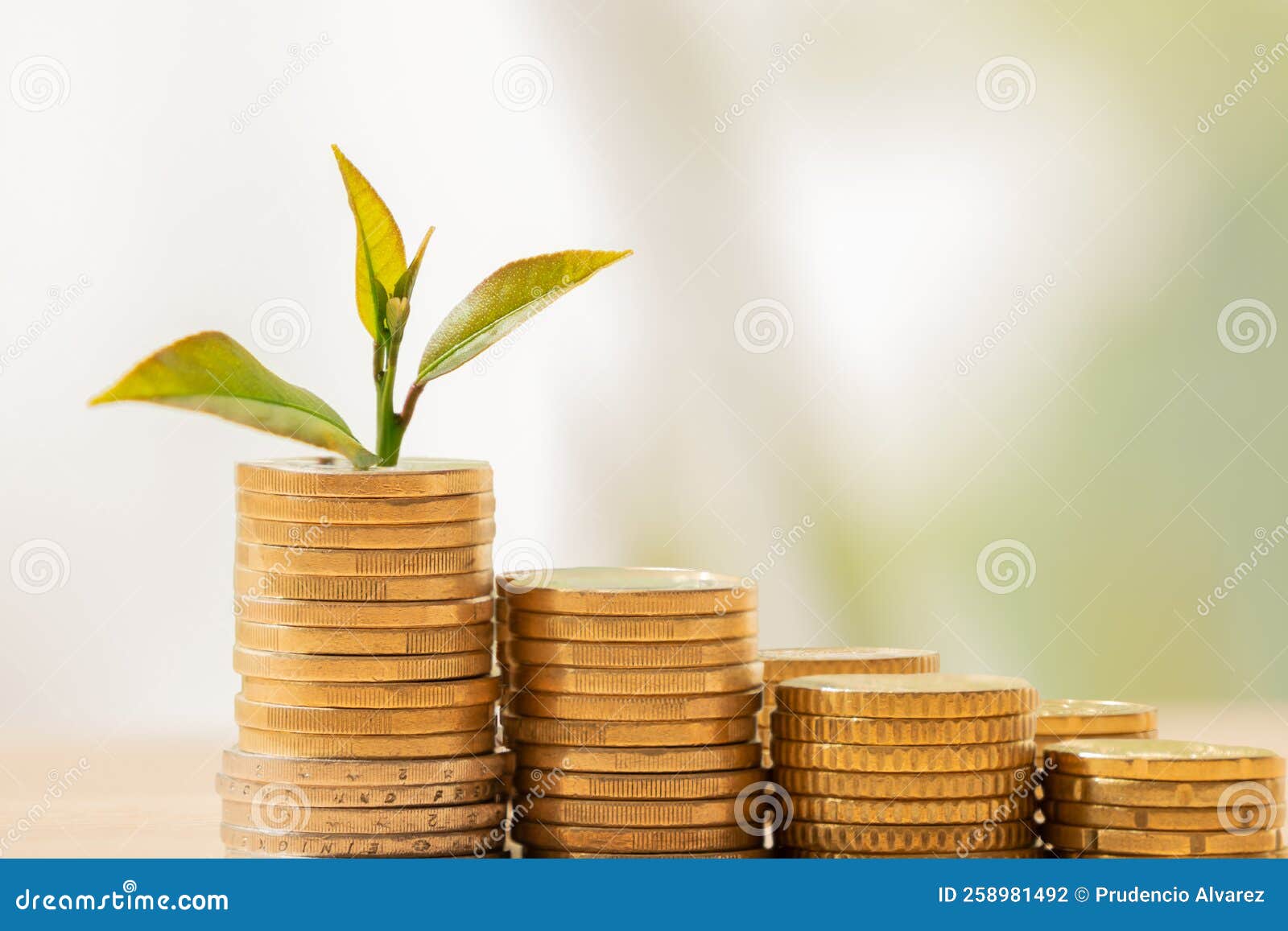 Stacked coins and plant stock photo. Image of growing - 258981492