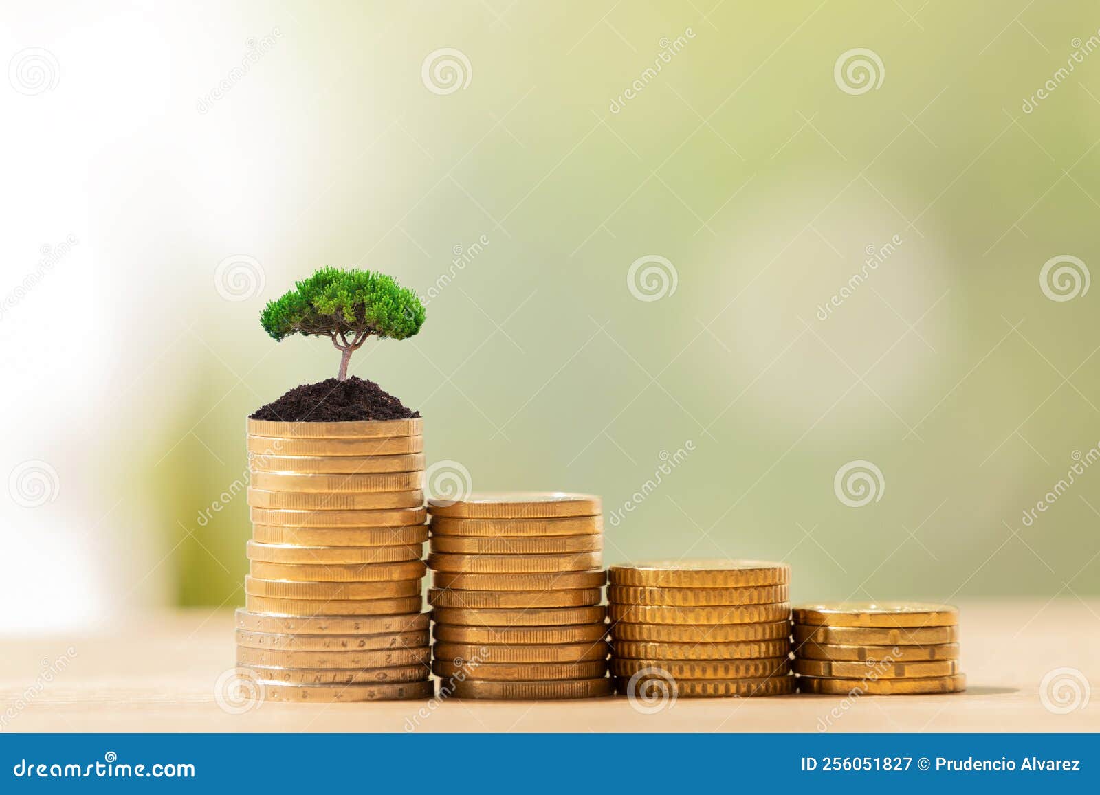 Stacked Coins with Tree Growing Stock Image - Image of income, increase ...
