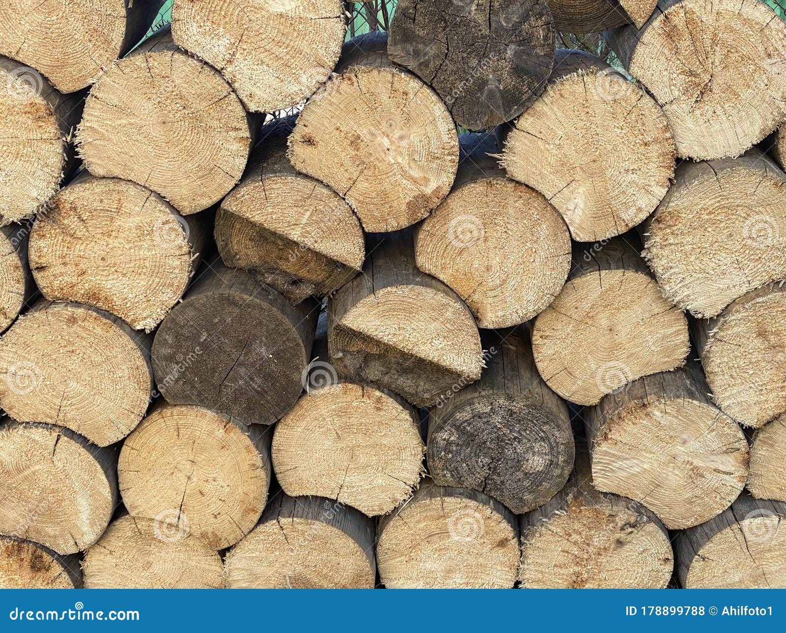 Stacked Cut Logs, Firewood, Stumps. Stock Photo - Image of industry ...