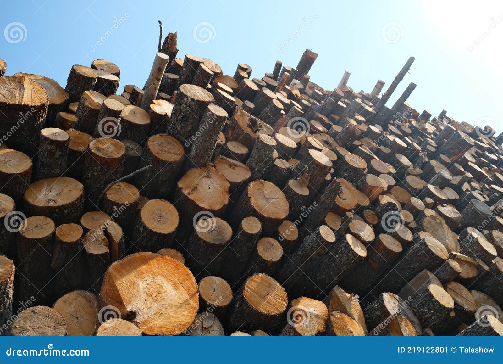 Stacked Cut Raw Timber Wood Logs Stock Image - Image of stacked, nature ...