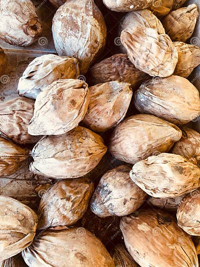 Stacked dry coconuts stock image. Image of ripe, ingredient - 346242113