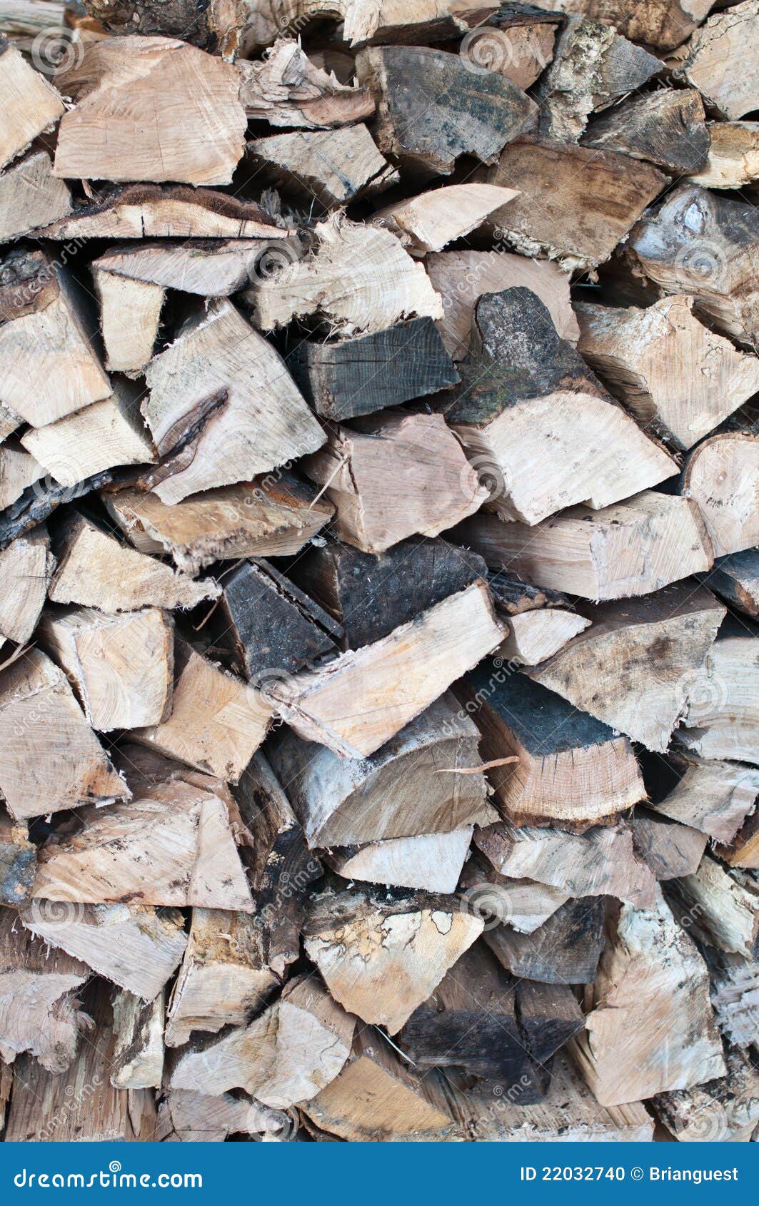 Stacked Firewood stock photo. Image of fuel, sustainable - 22032740
