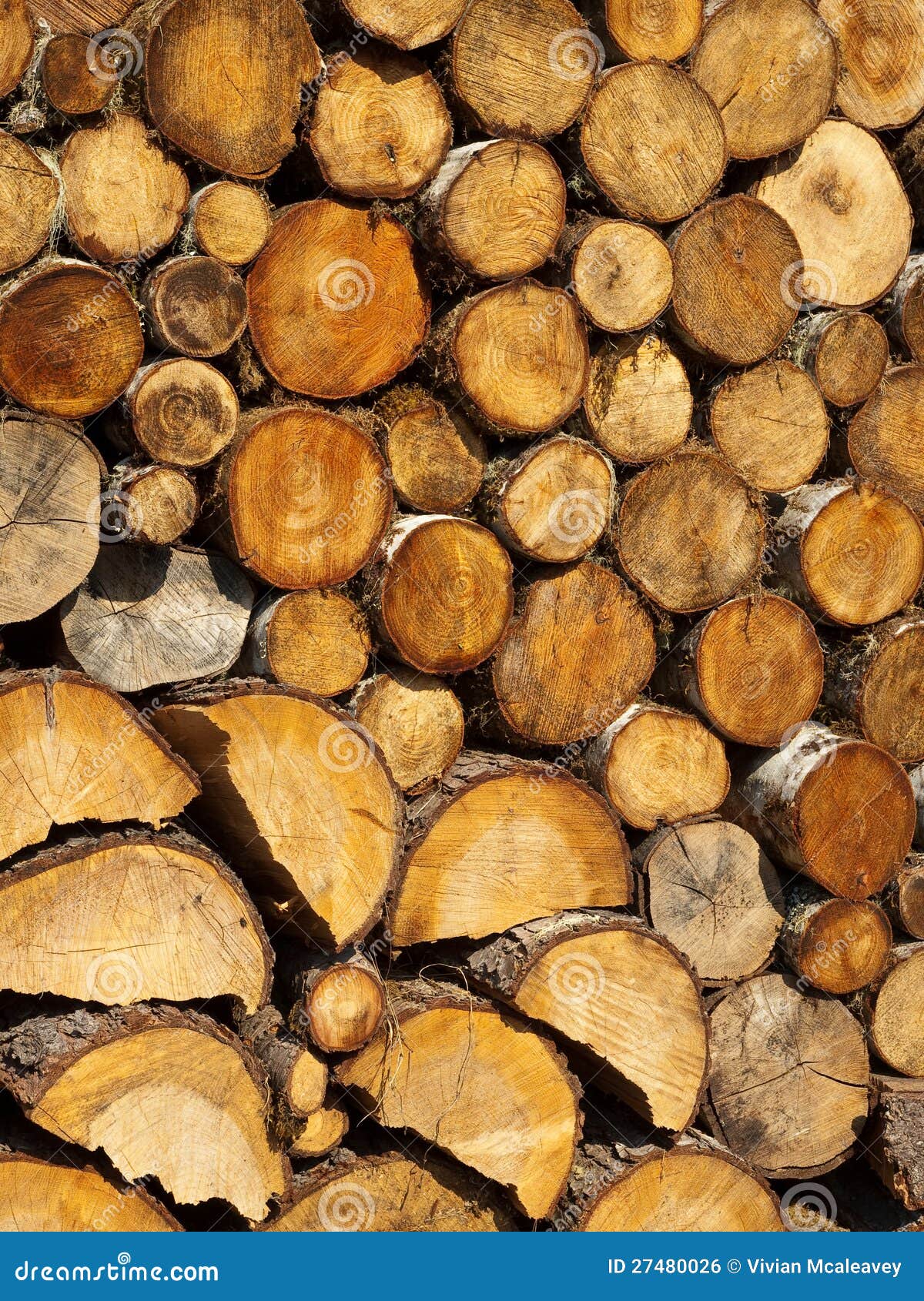Stacked firewood stock photo. Image of trees, warmth - 27480026