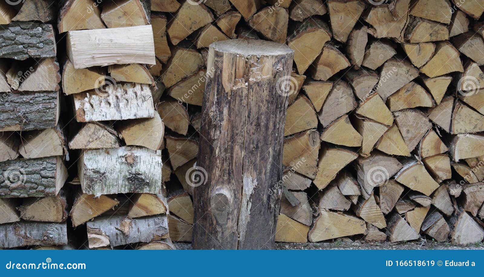 Stacked firewood stock image. Image of stacked, house - 166518619
