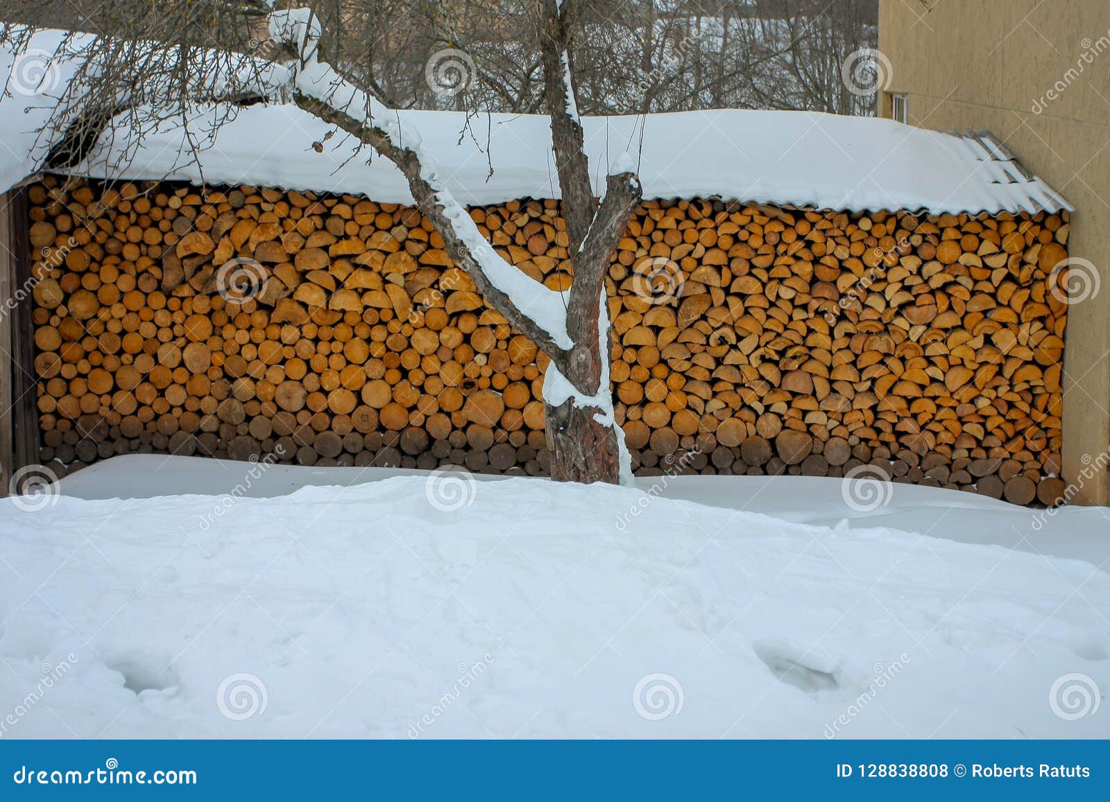 Stacked Firewood in Winter Time. Stock Photo - Image of background ...