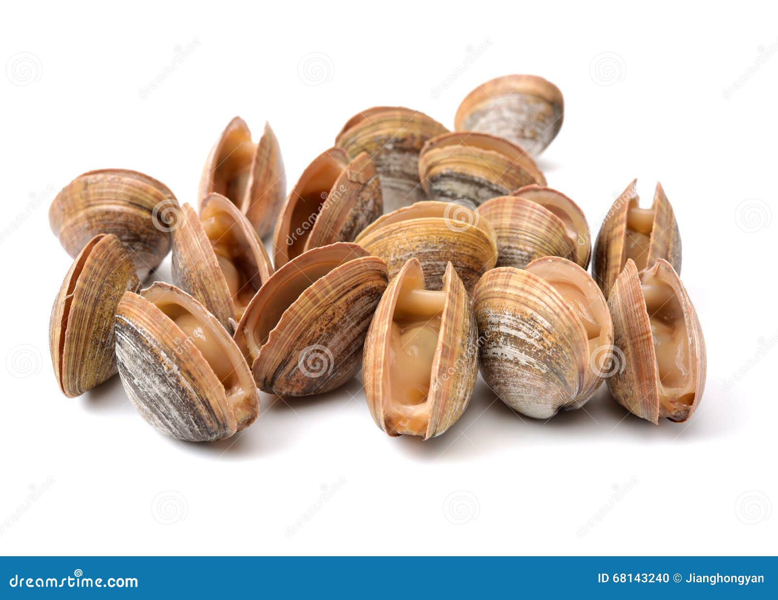 Stacked fresh raw clams stock photo. Image of market - 68143240