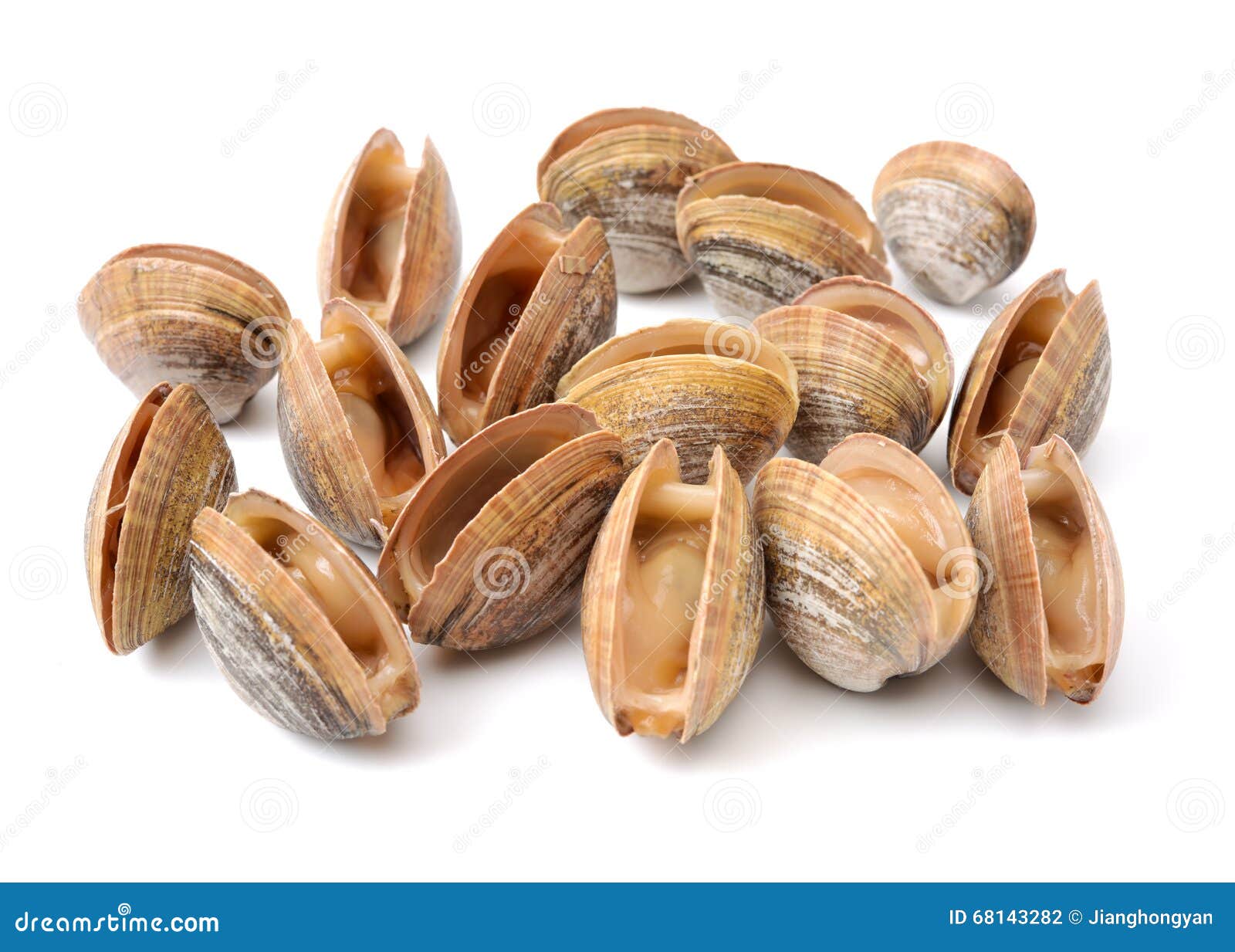Stacked fresh raw clams stock photo. Image of material - 68143282