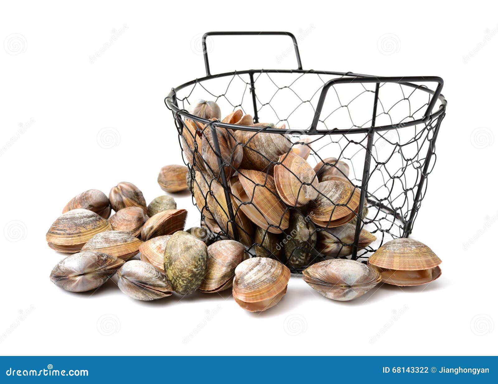 Stacked fresh raw clams stock photo. Image of horizontal - 68143322