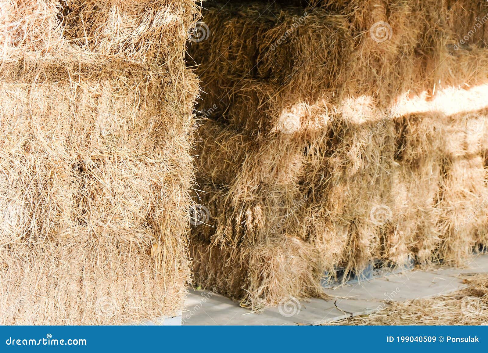 Stacked Hay in Agricultural Stall Stock Image - Image of barn, farm ...
