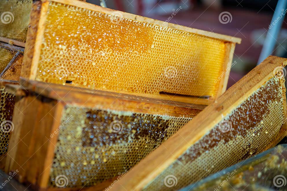 Stacked Honey Plasters, Frames Full of Honey. Acquiring Honey ...