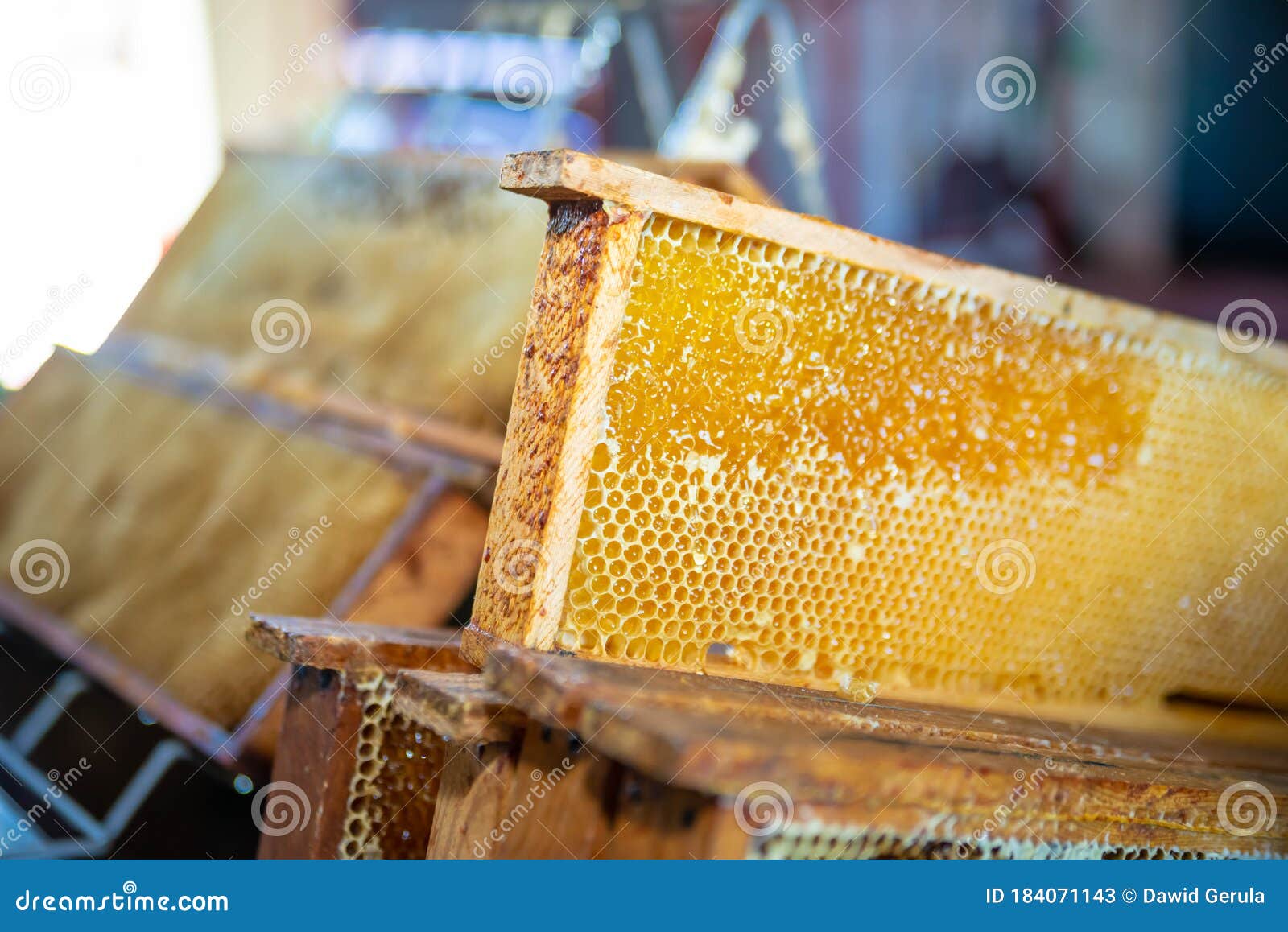 Stacked Honey Plasters, Frames Full of Honey. Acquiring Honey ...
