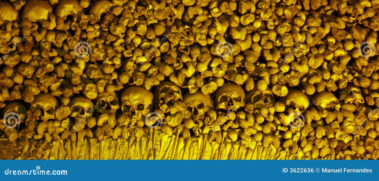 Stacked human bones editorial photo. Image of mausoleum - 3622636