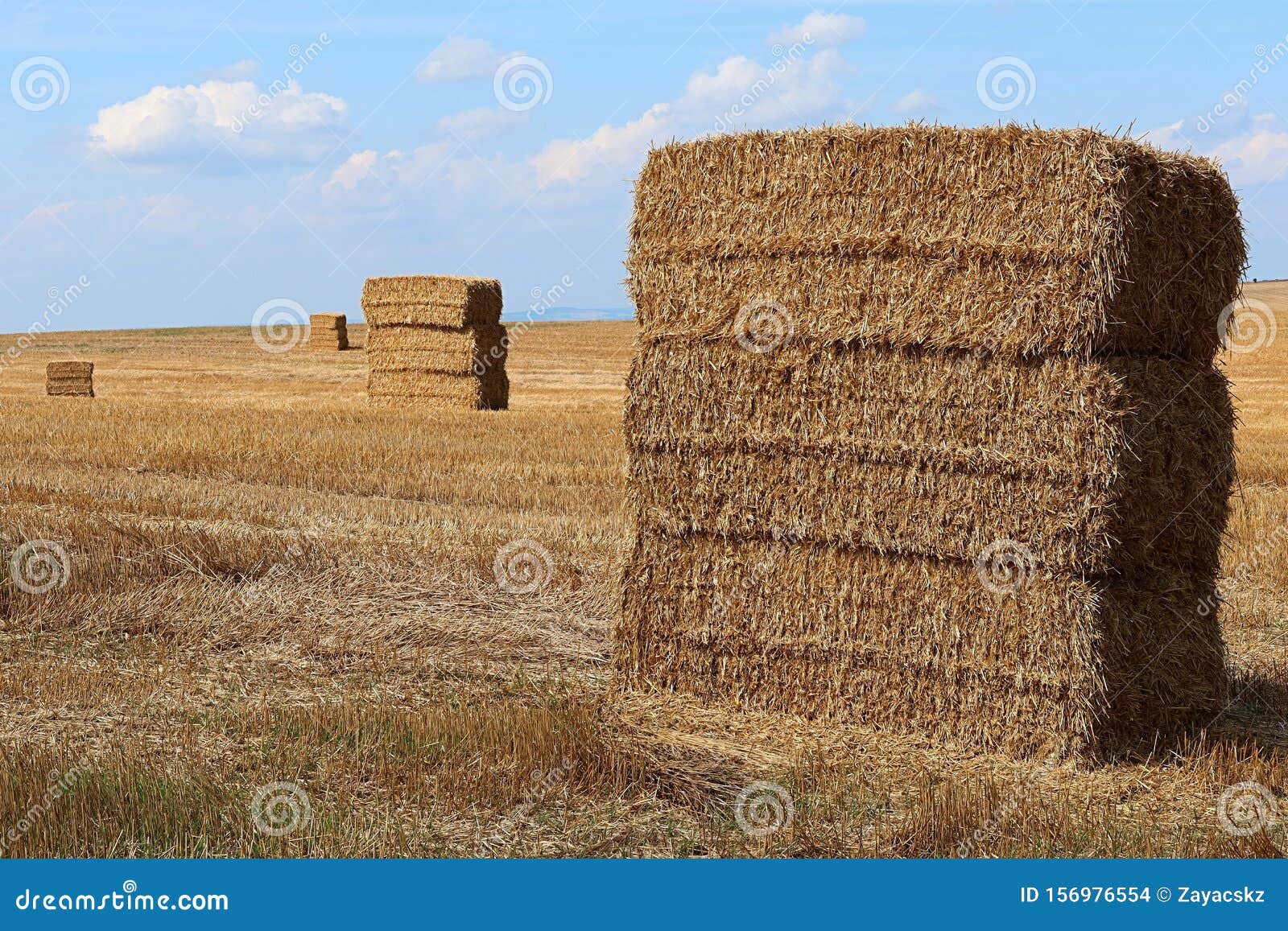 Stacked Large Rectangular Hay Bales Placed on Field after Harvest, Blue ...